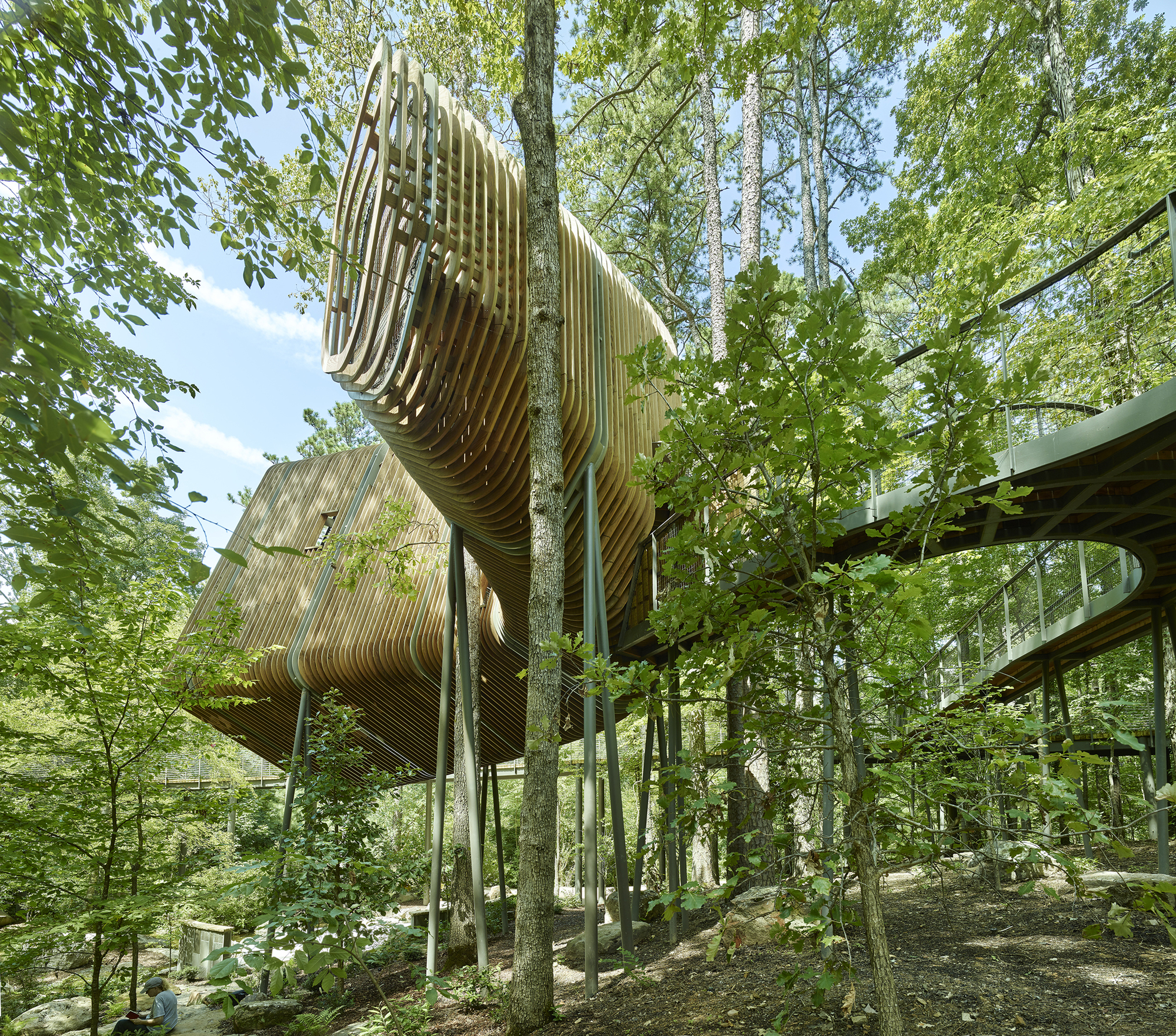 Gallery of The Evans Tree House at Garvan Woodland Gardens / modus ...