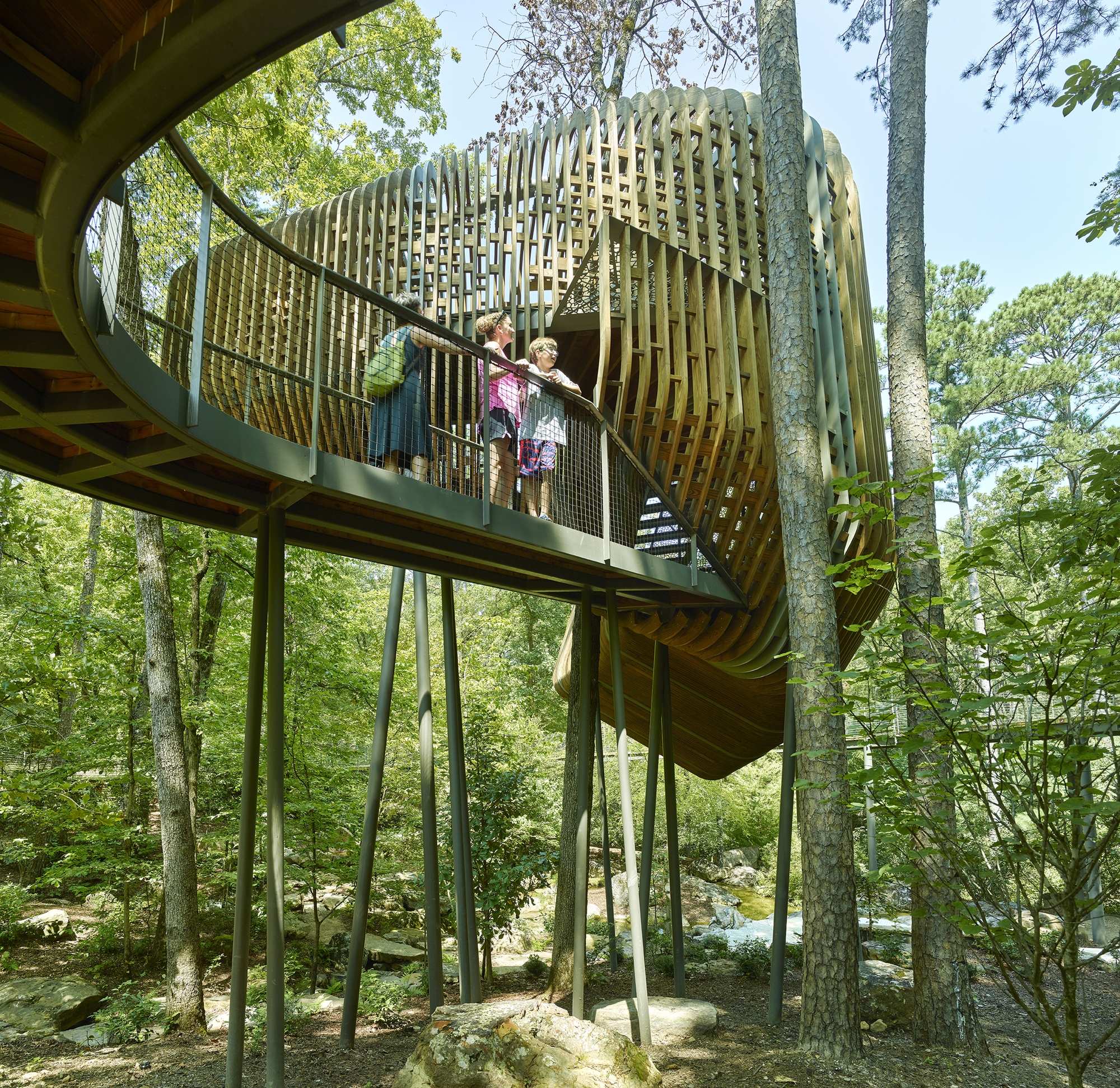 Gallery of The Evans Tree House at Garvan Woodland Gardens / modus ...