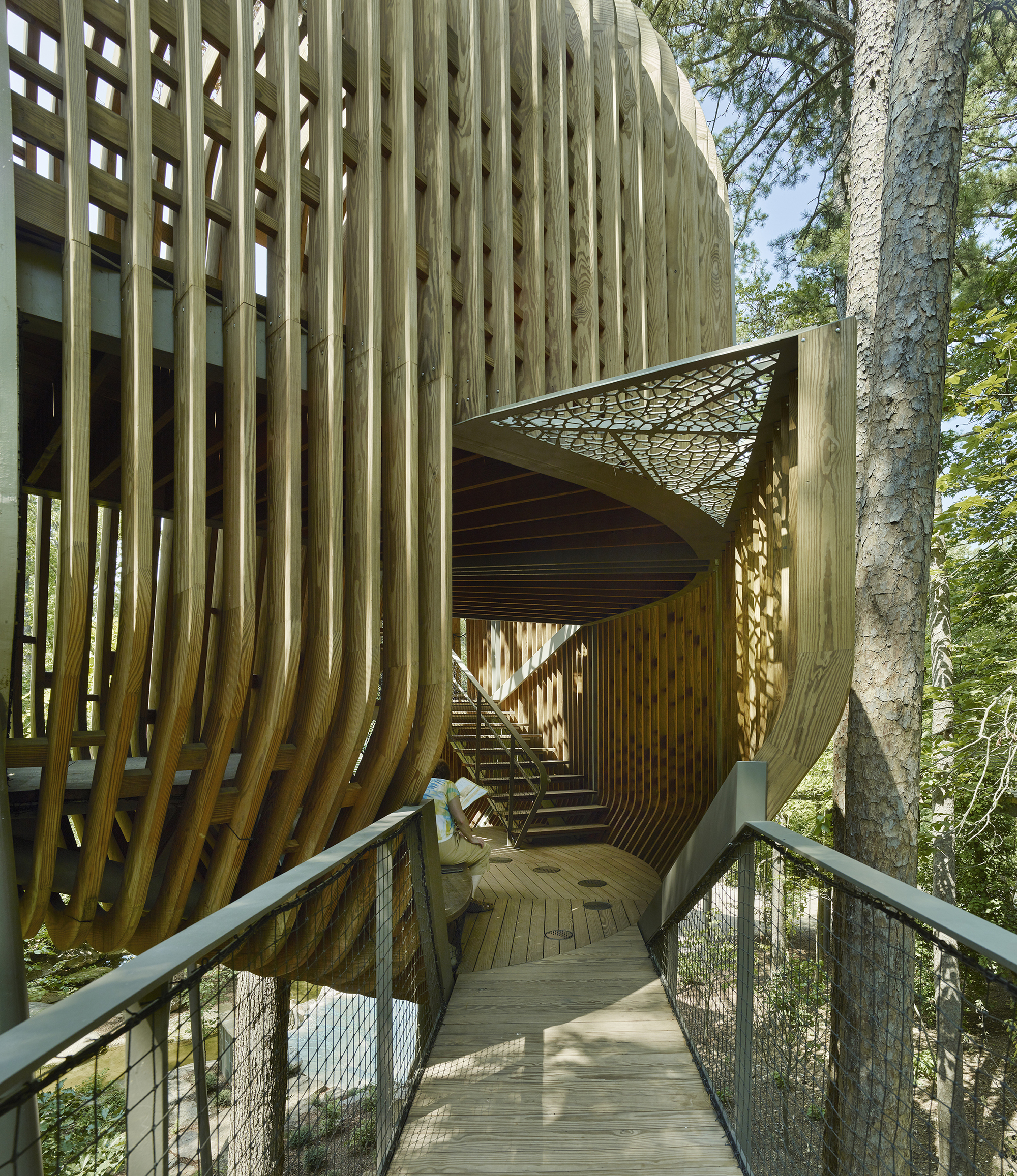 Gallery of The Evans Tree House at Garvan Woodland Gardens / modus ...