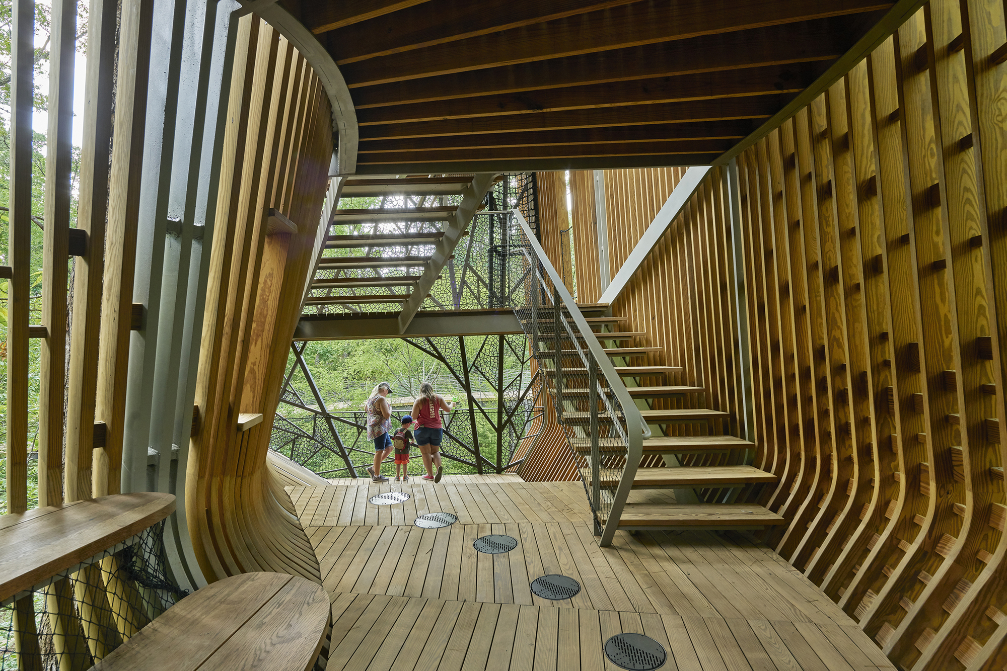 Gallery of The Evans Tree House at Garvan Woodland Gardens / modus ...