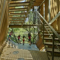 The Evans Tree House at Garvan Woodland Gardens / modus studio | ArchDaily
