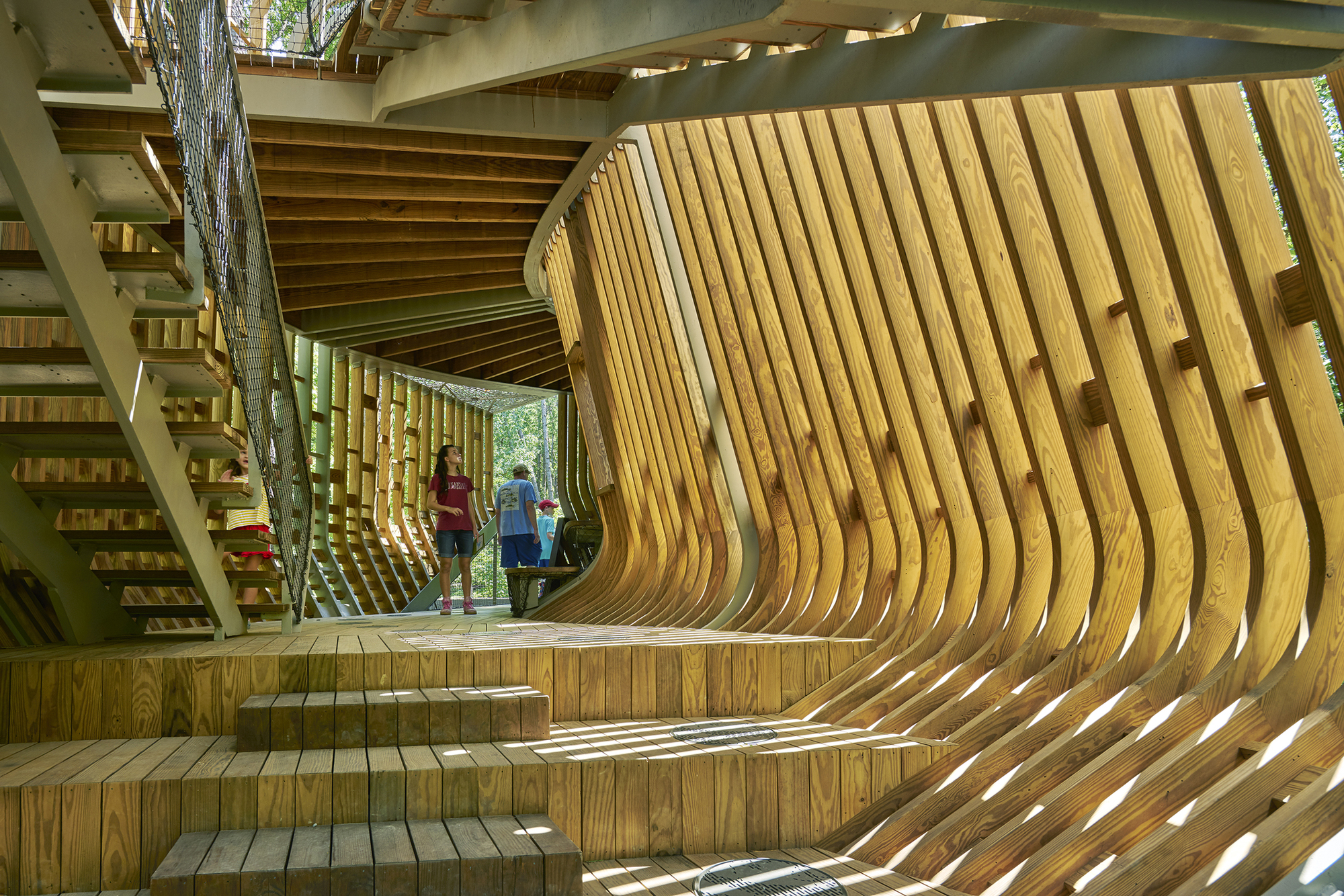 Gallery of The Evans Tree House at Garvan Woodland Gardens / modus studio - 7