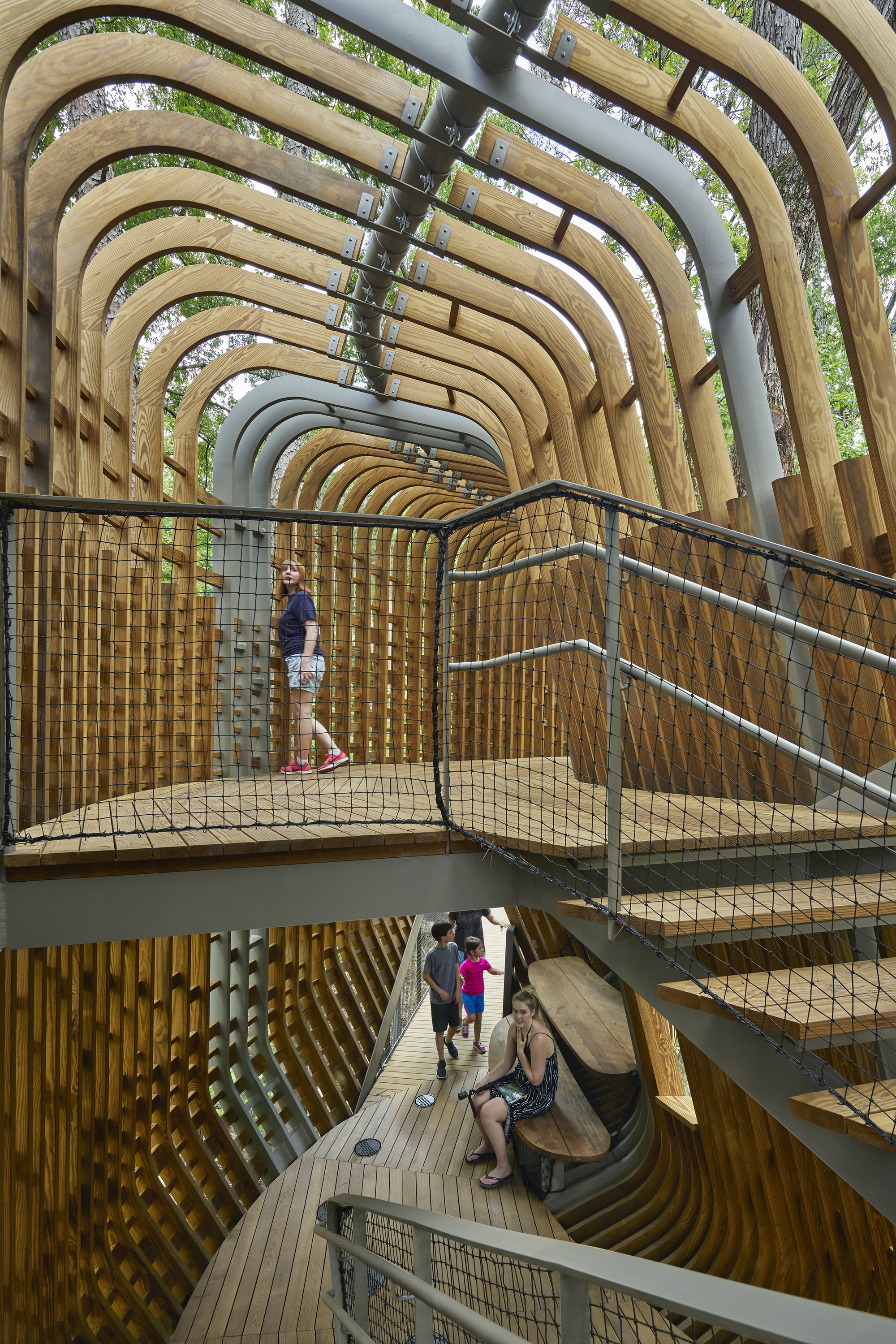 Gallery of The Evans Tree House at Garvan Woodland Gardens / modus ...