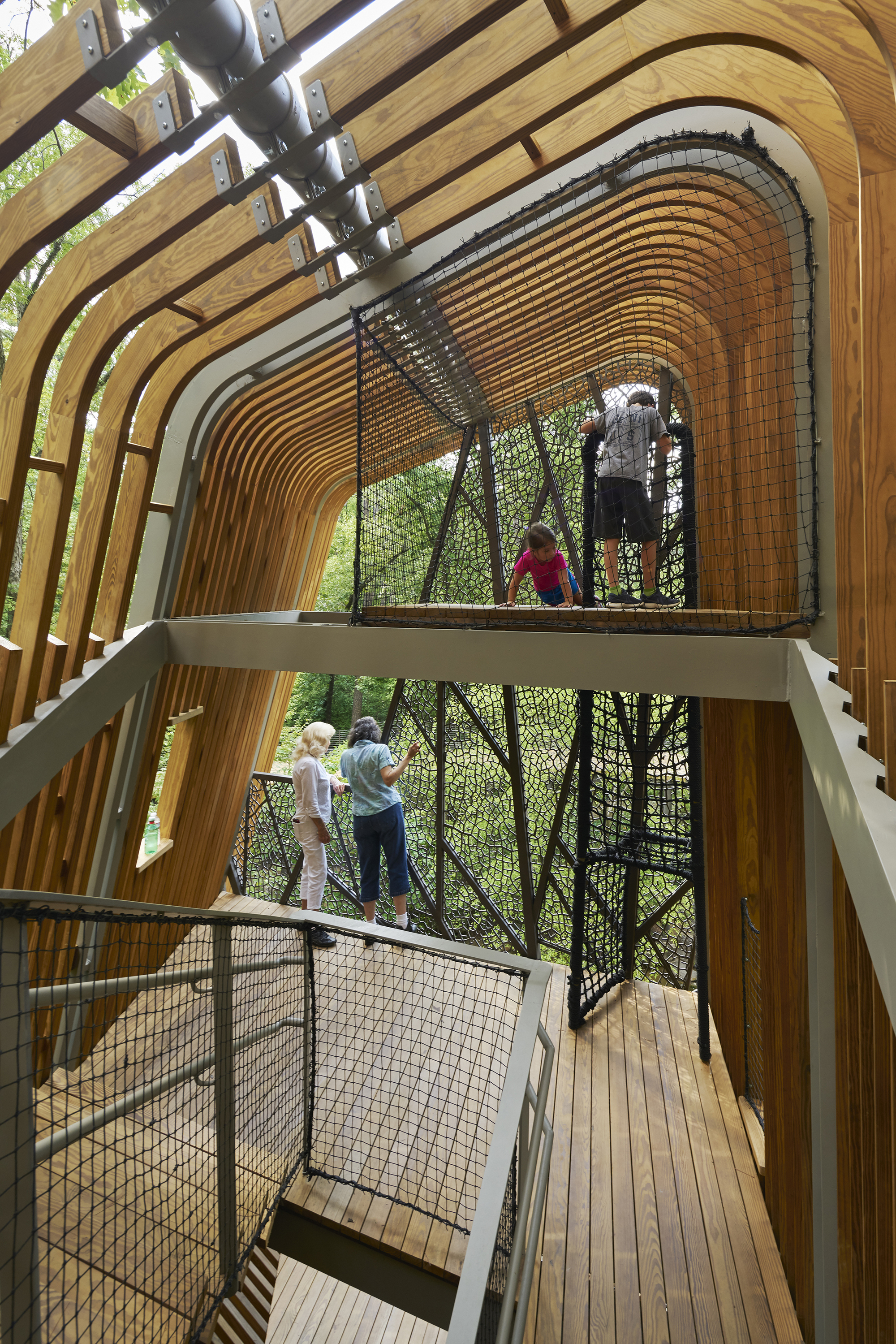 Gallery of The Evans Tree House at Garvan Woodland Gardens / modus studio - 13