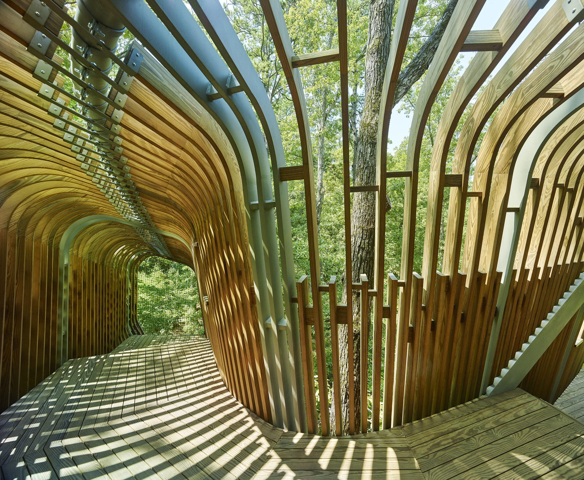 Gallery of The Evans Tree House at Garvan Woodland Gardens / modus ...
