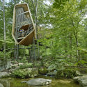 The Evans Tree House at Garvan Woodland Gardens / modus studio | ArchDaily