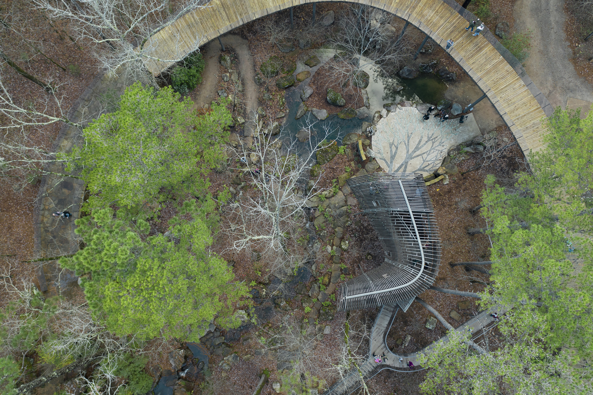 Gallery of The Evans Tree House at Garvan Woodland Gardens / modus ...