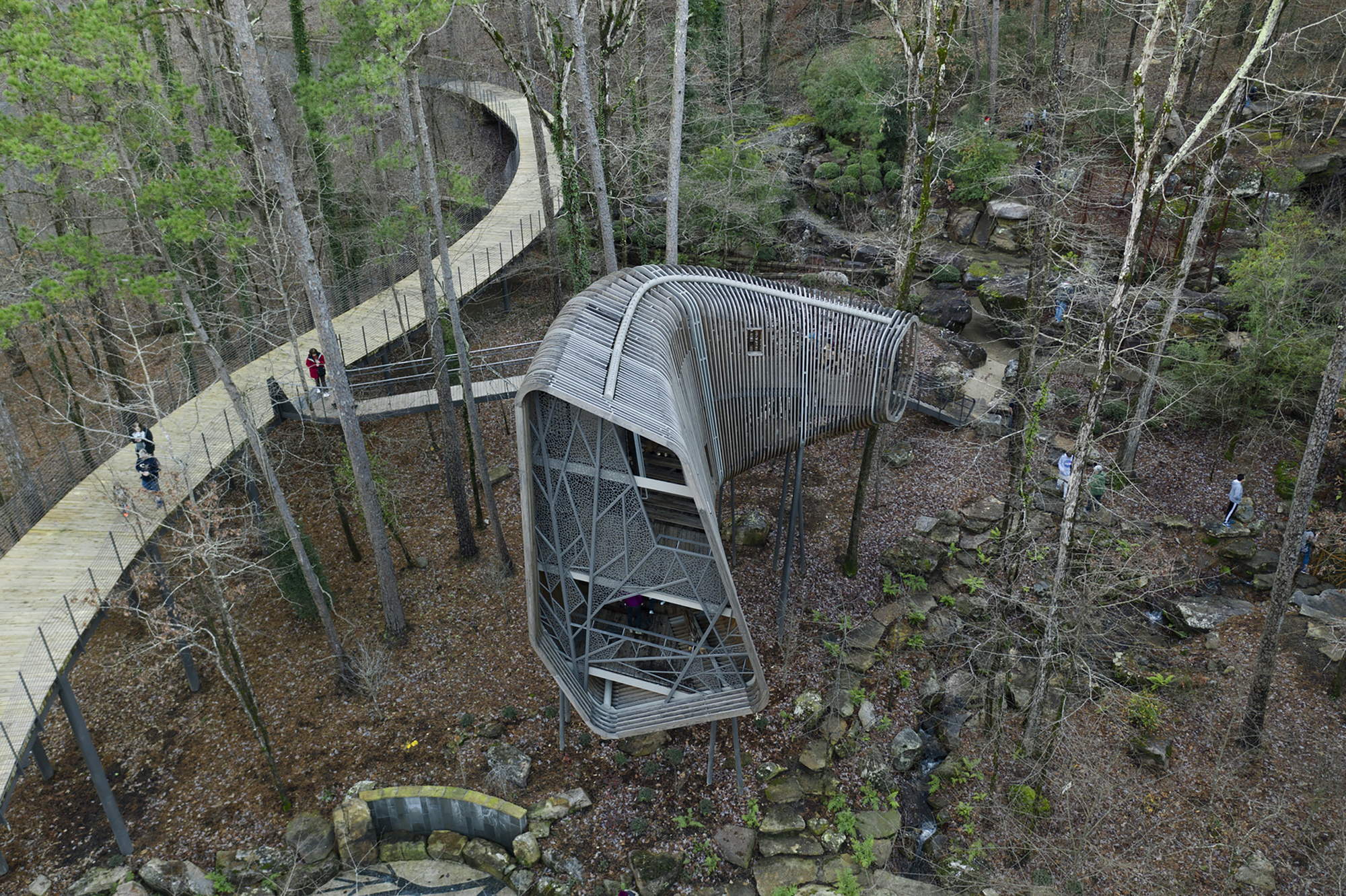 Gallery of The Evans Tree House at Garvan Woodland Gardens / modus ...