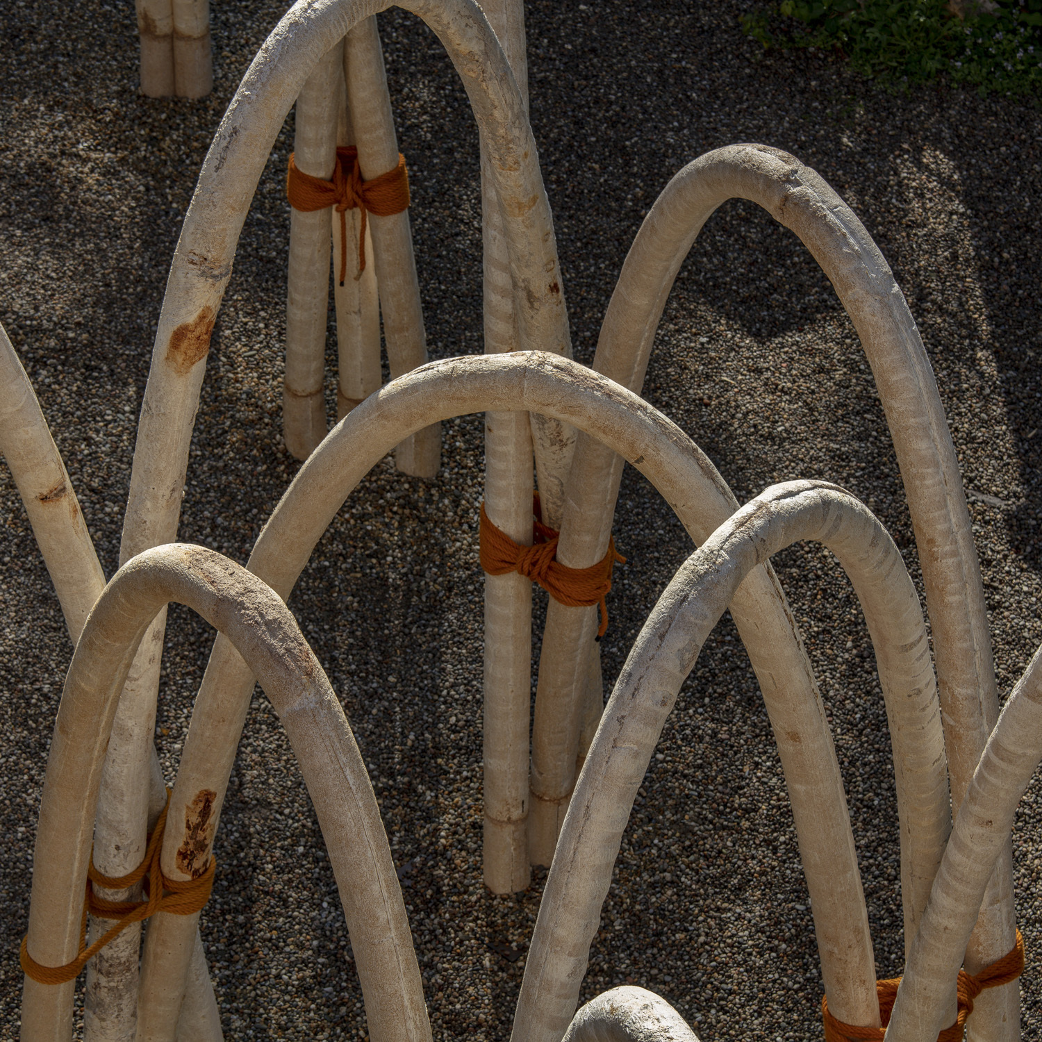 Gallery of Carlo Ratti Unveils Structure Grown from Mushrooms at Milan ...