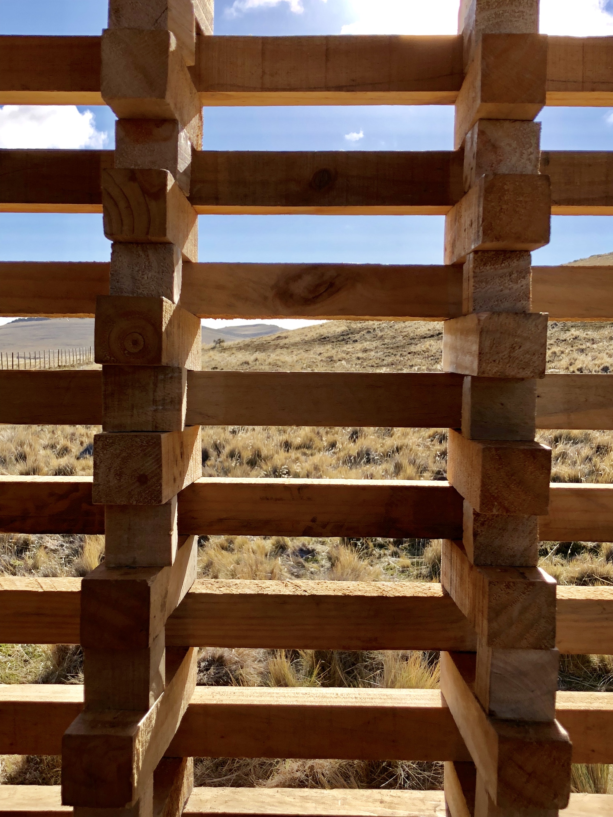 Galería de Estudiantes exploran las posibilidades de las estructuras ...