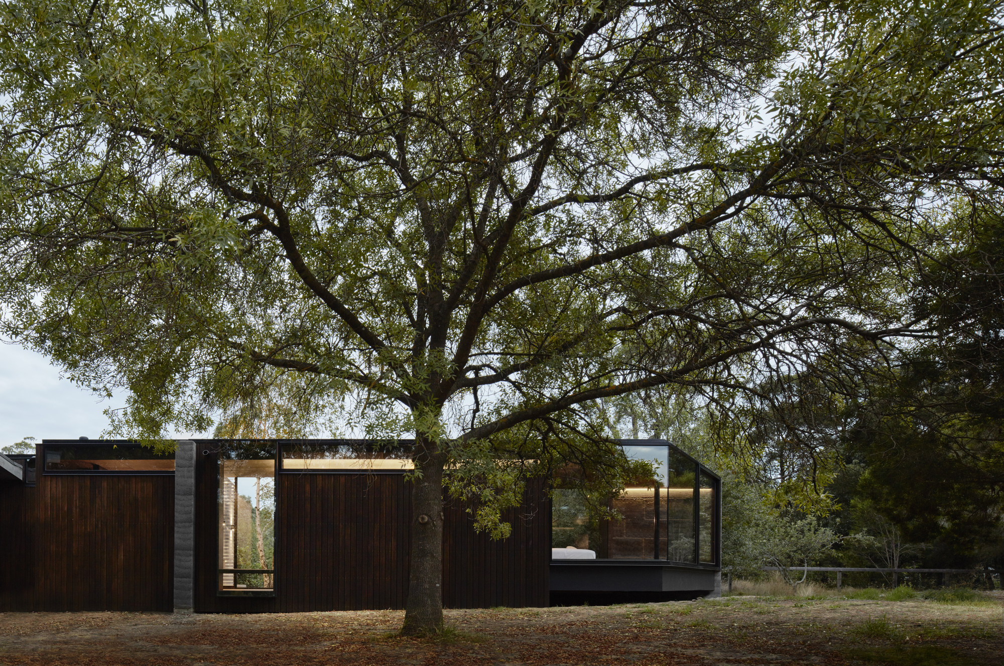 Gallery of Pavilion Between Trees / Branch Studio Architects - 5