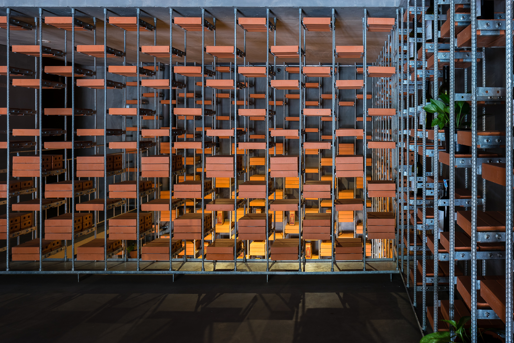 Gallery of Organicare Showroom / Tropical Space - 17