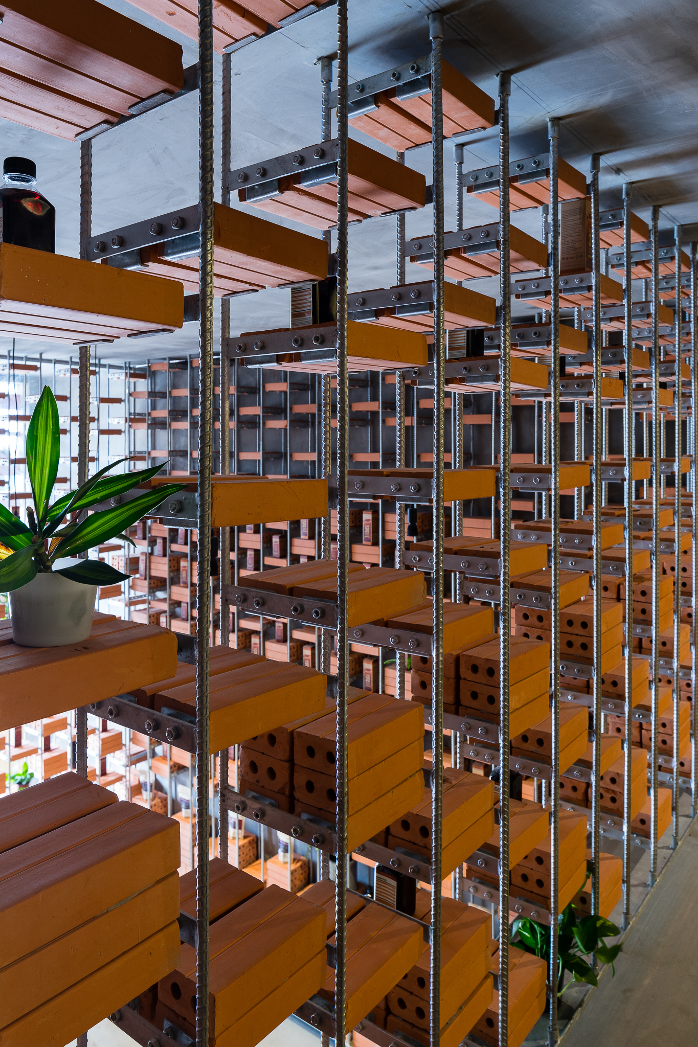 Gallery of Organicare Showroom / Tropical Space - 7