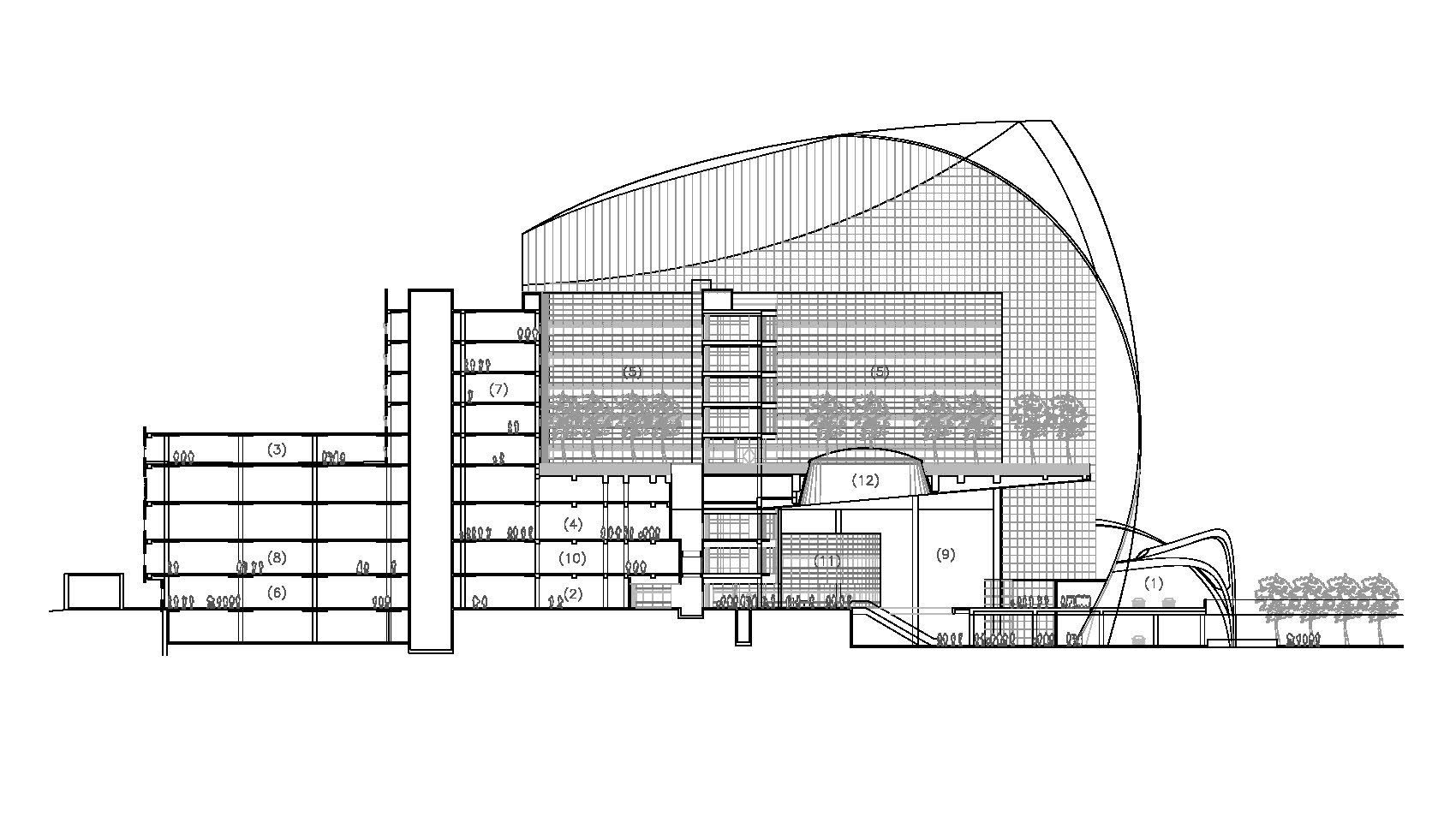Gallery of Sidra Medical and Research Center / Pelli Clarke & Partners - 14