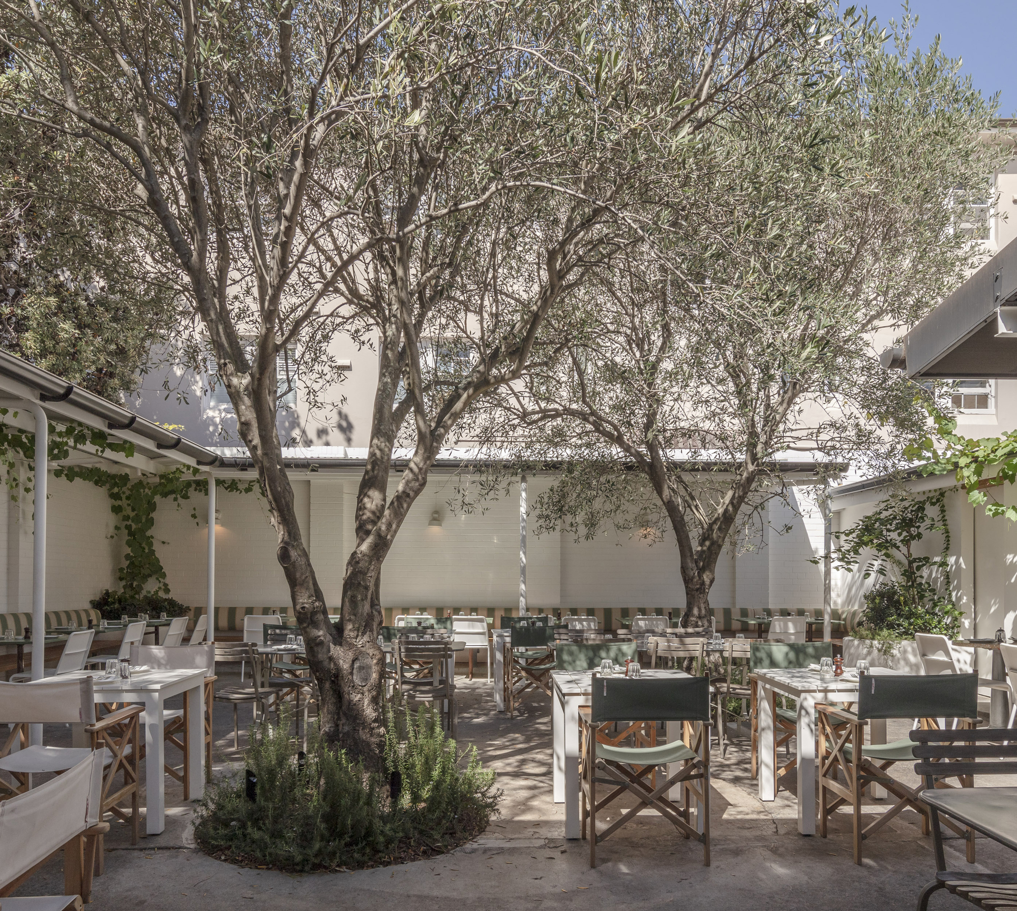 Gallery of Totti’s Restaurant / Akin Atelier - 3