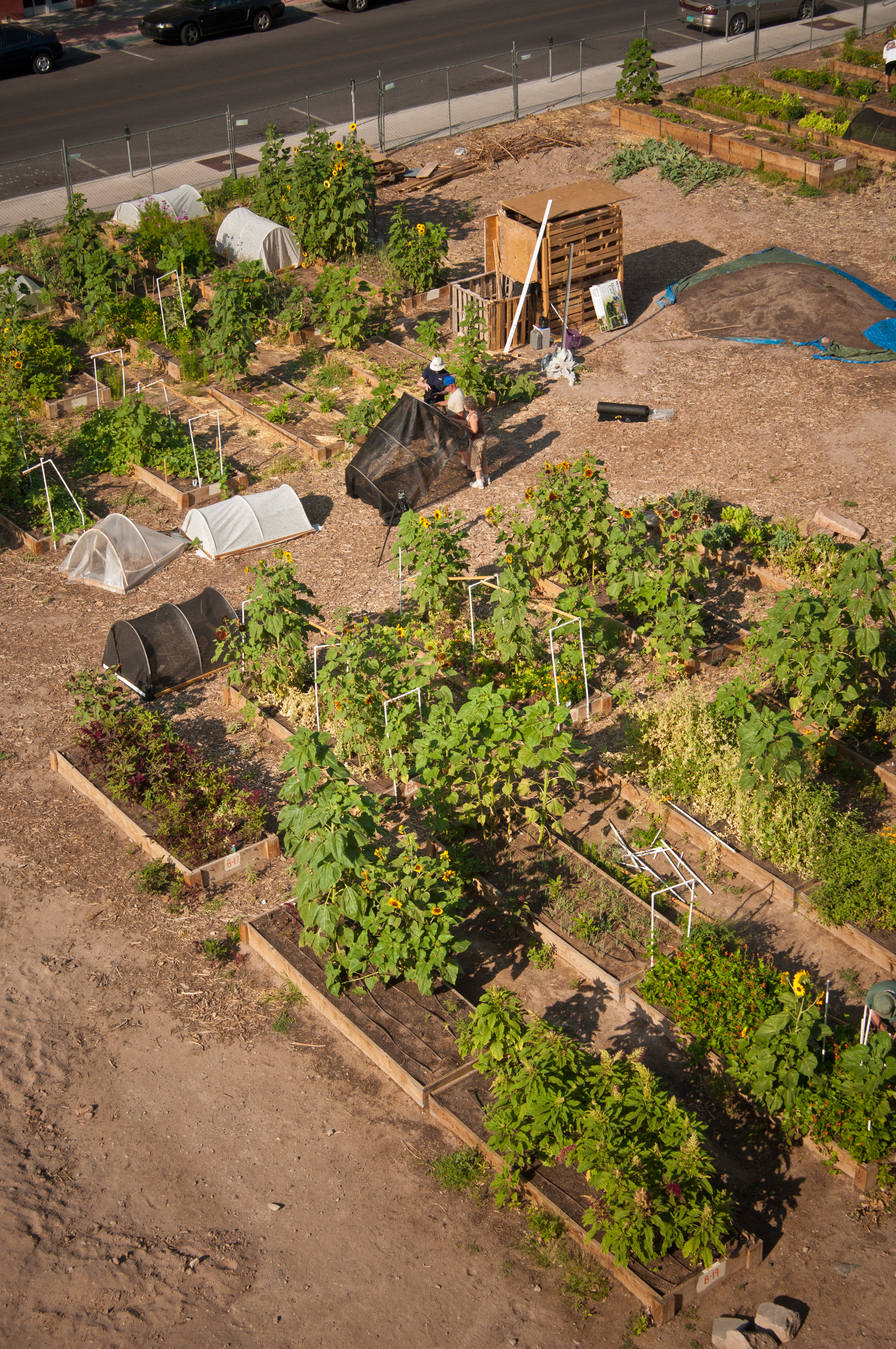 Gallery of Urban Farming: Food Production in Community Parks and ...