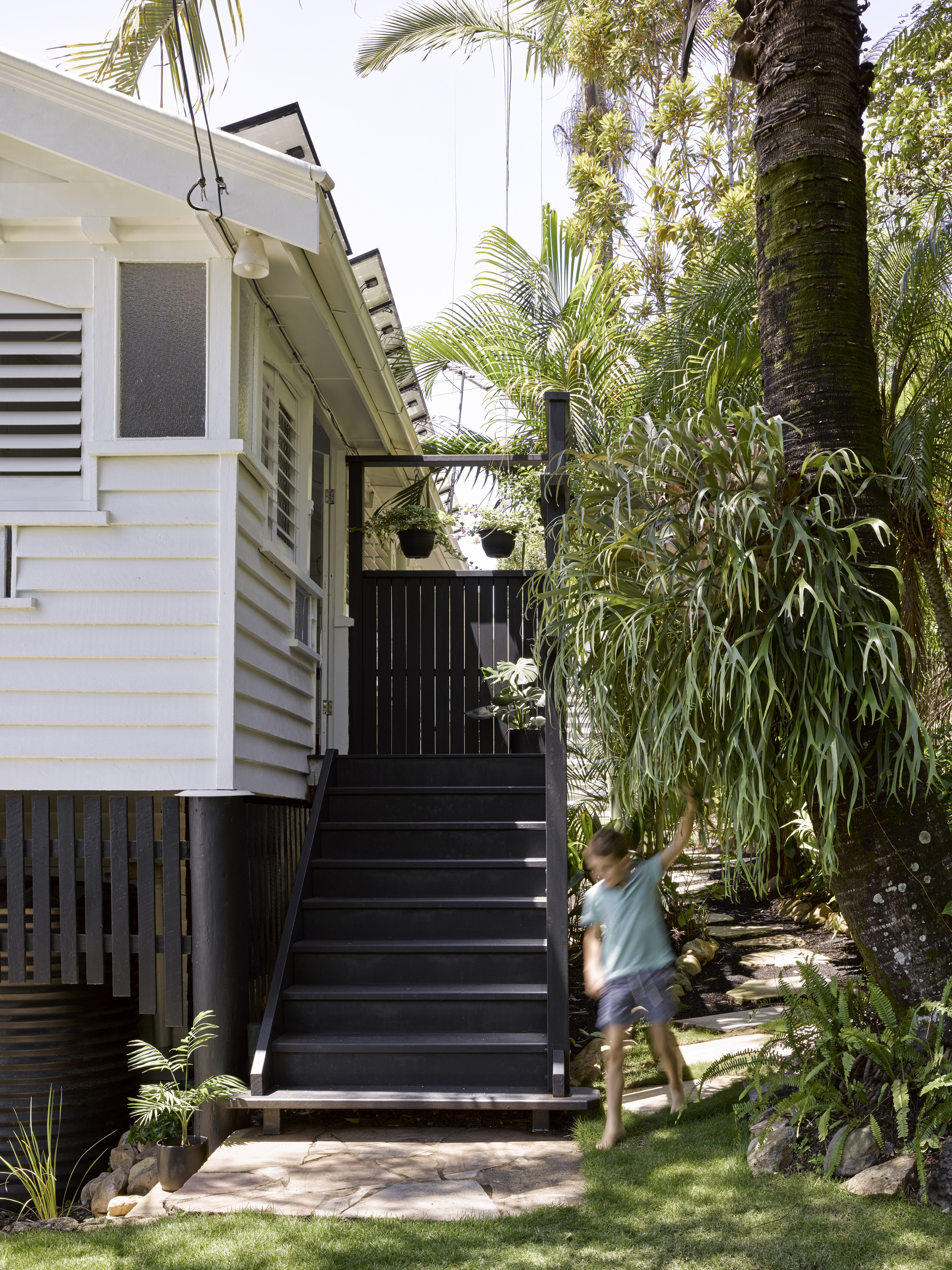 Gallery of Jacaranda House / SP Studio - 13