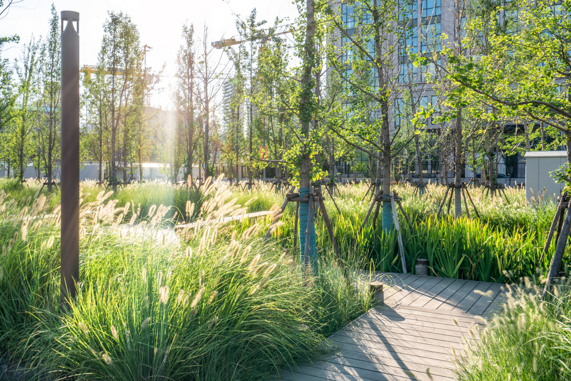 Gallery of Yangpu Riverfront South Section Phase II / DA Landscape ...