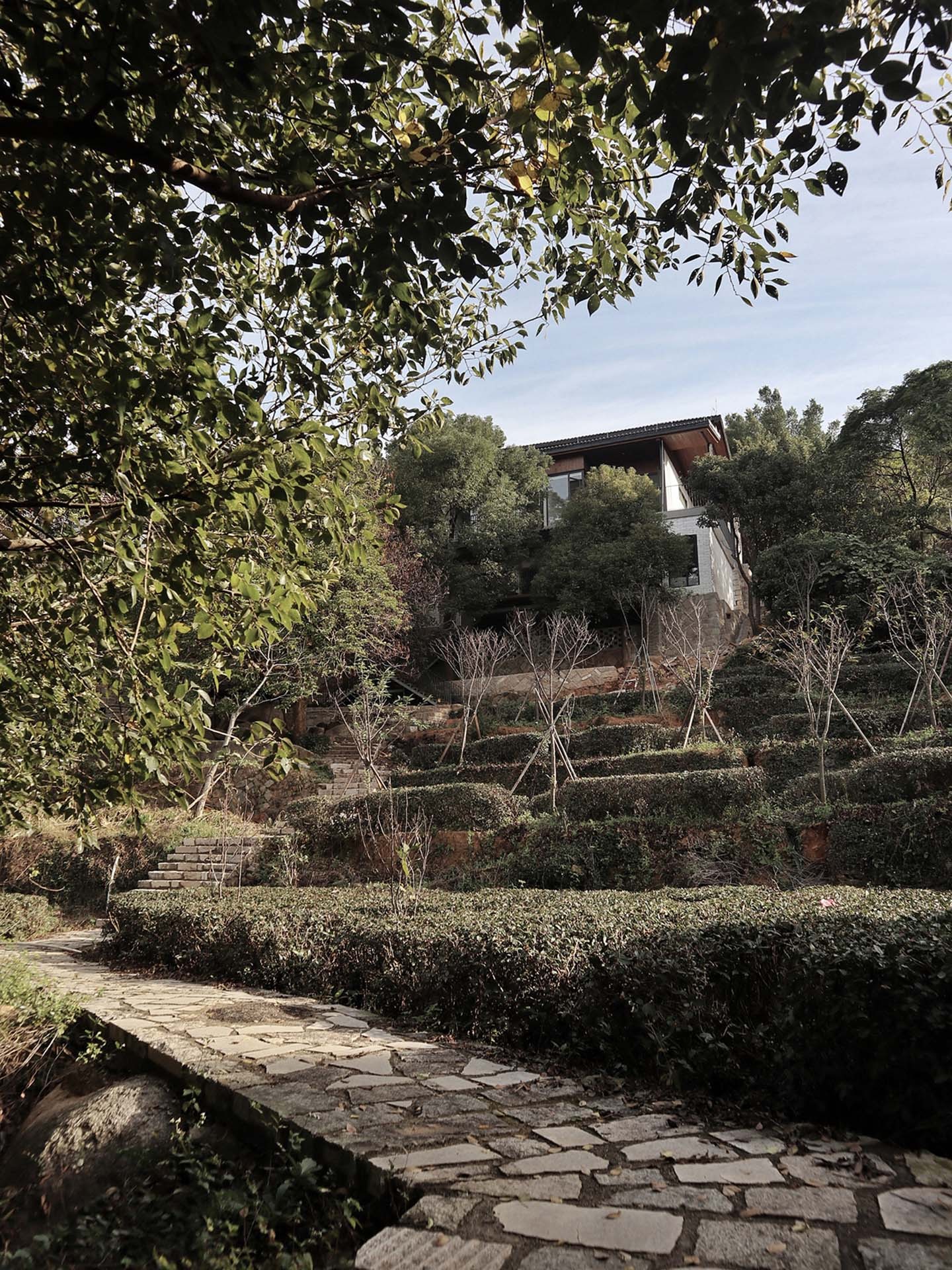 Gallery of Tea-Talks House / Atelier RIGHT HUB - 18