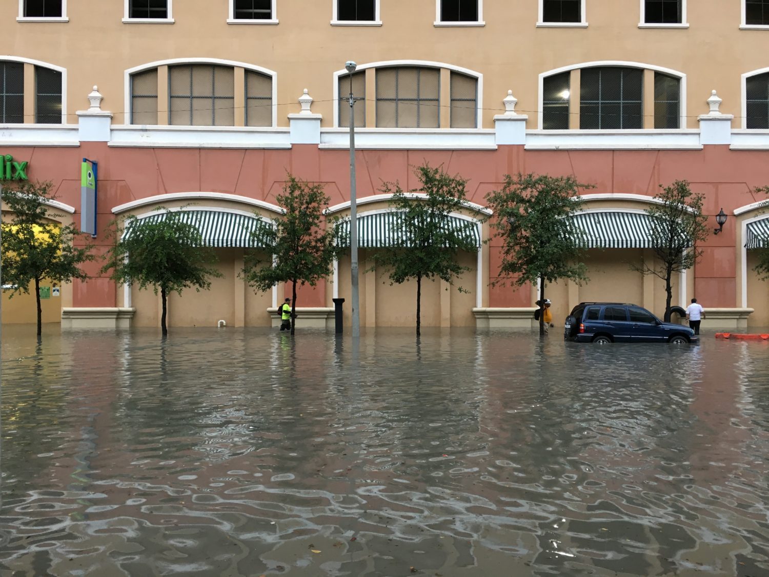 Van Alen Institute and City of Miami Seek to Transform Flood-Prone ...