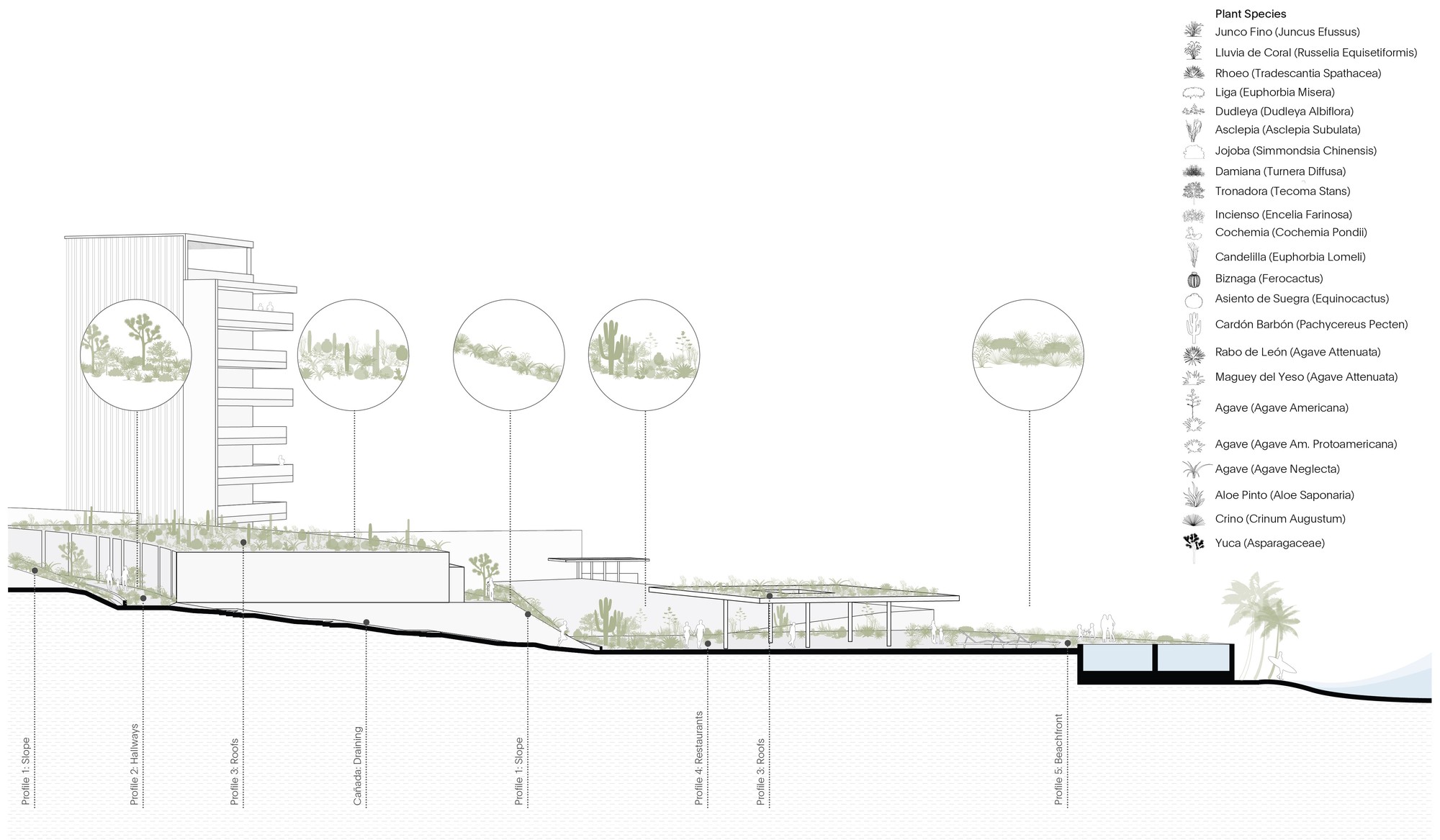 Gallery of Solaz Los Cabos Hotel / Sordo Madaleno Arquitectos - 40