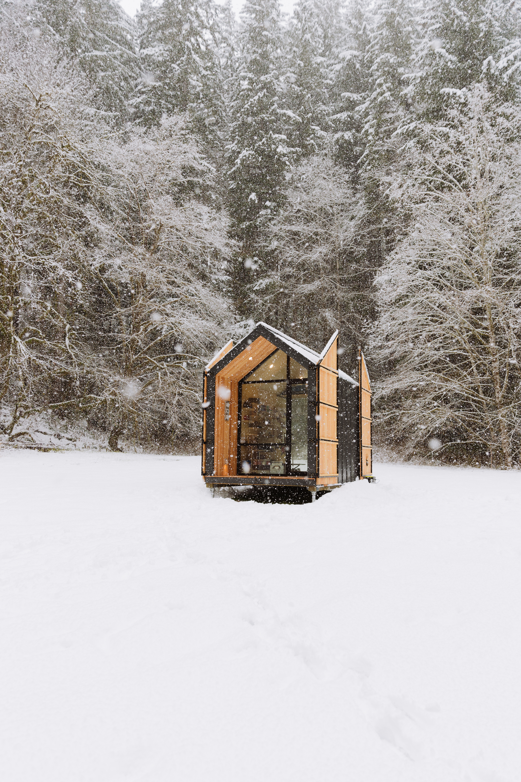 Gallery of Elliot Mono Cabin / Drop Structures - 17