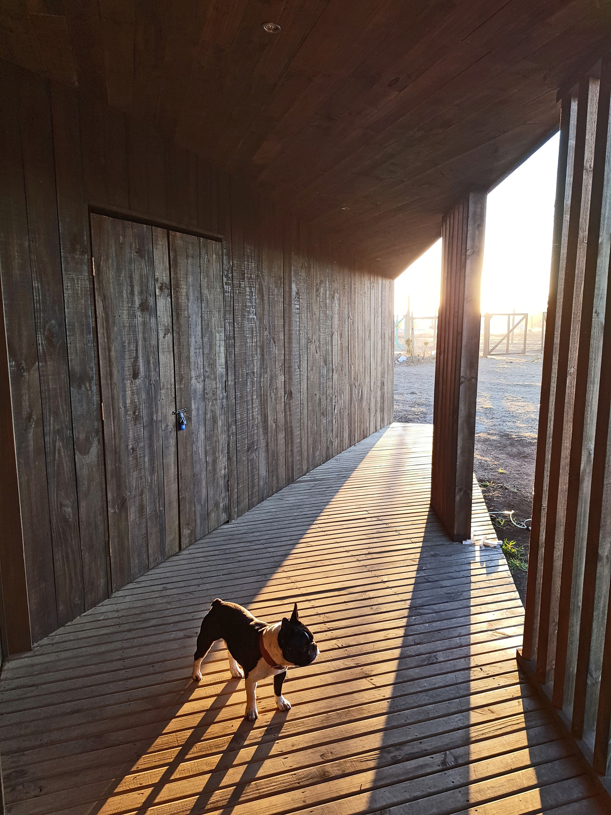 Gallery of House 222 / Worc Arquitectos - 7