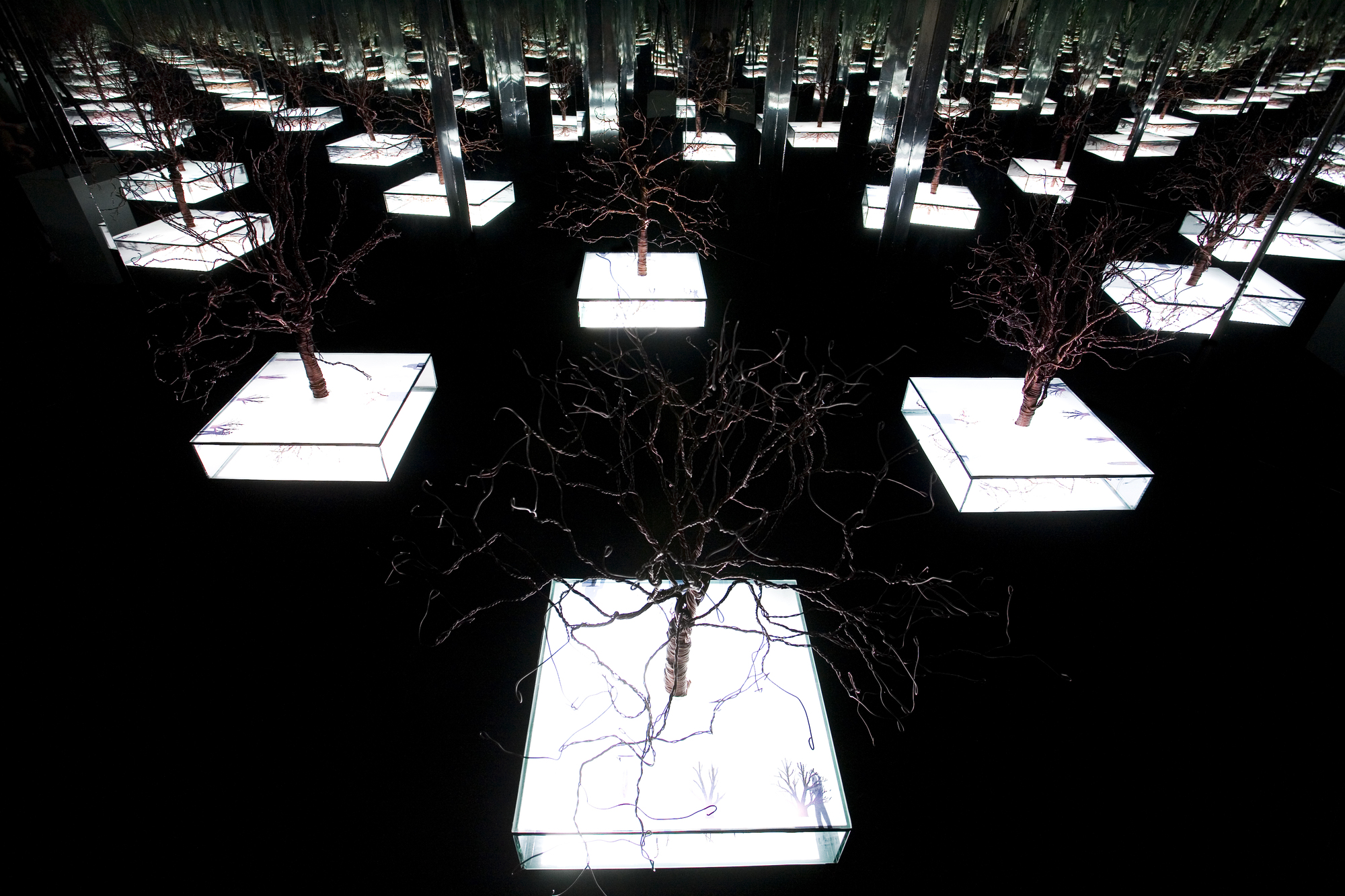 Gallery of Opinion: Manit Rastogi of Morphogenesis on Environment ...