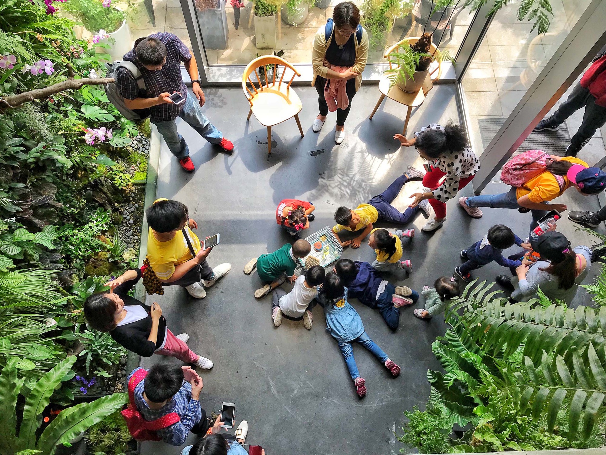 Gallery of The Planting Terrace And The Experience Pavilion / MOZHAO ...