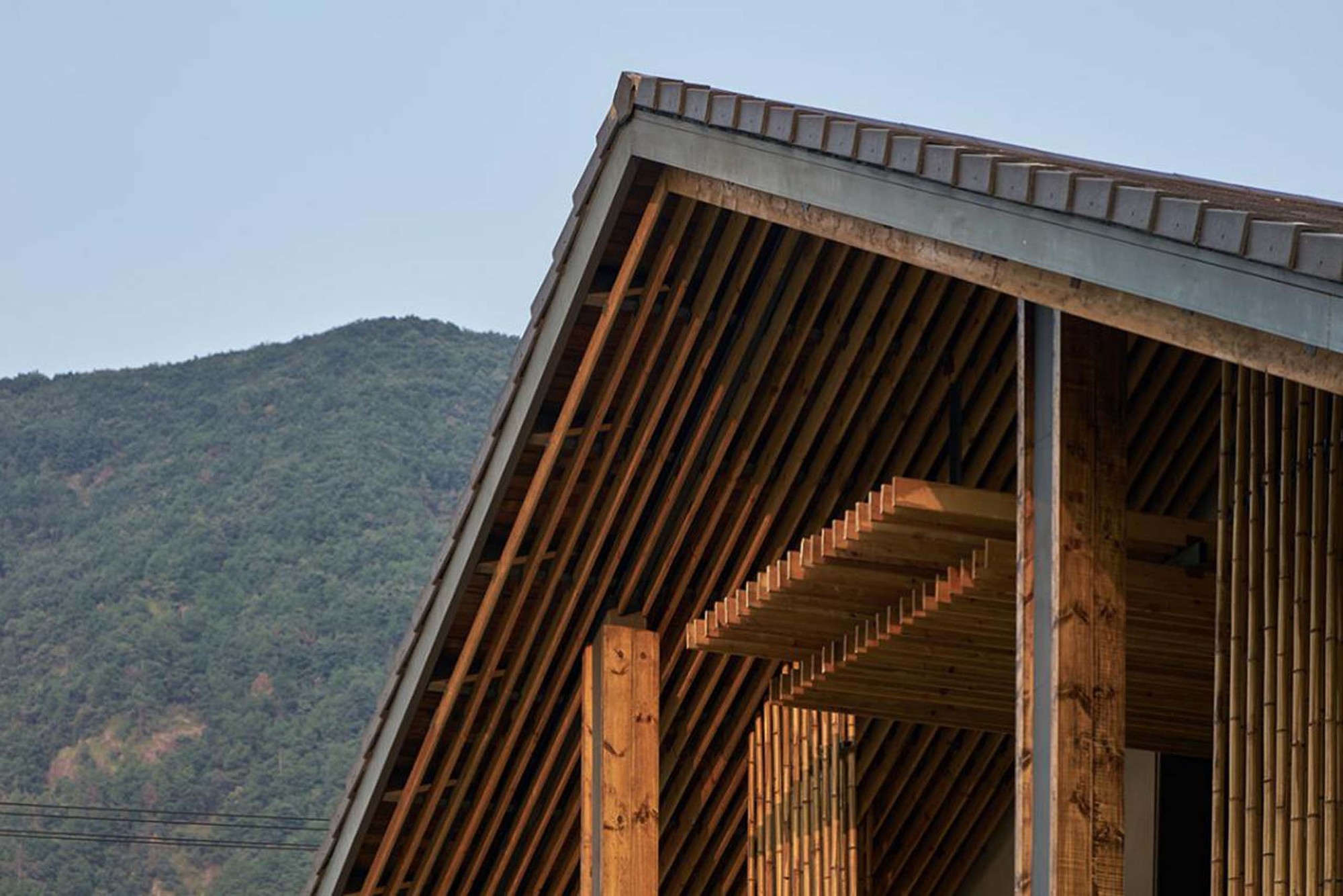 Gallery of Watch • Tree&stone / The Design Institute of Landscape and ...