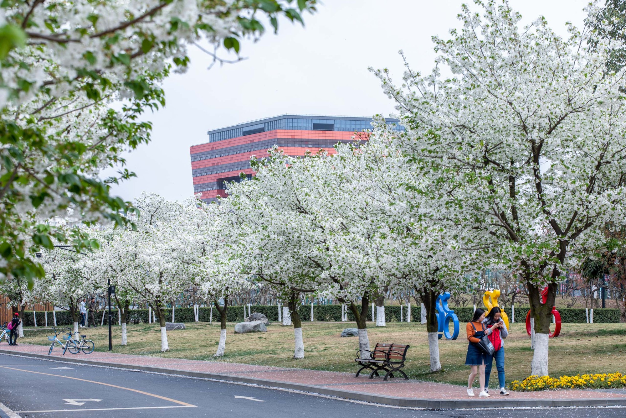 Gallery of Chengdu University Library / China Southwest Architectural ...