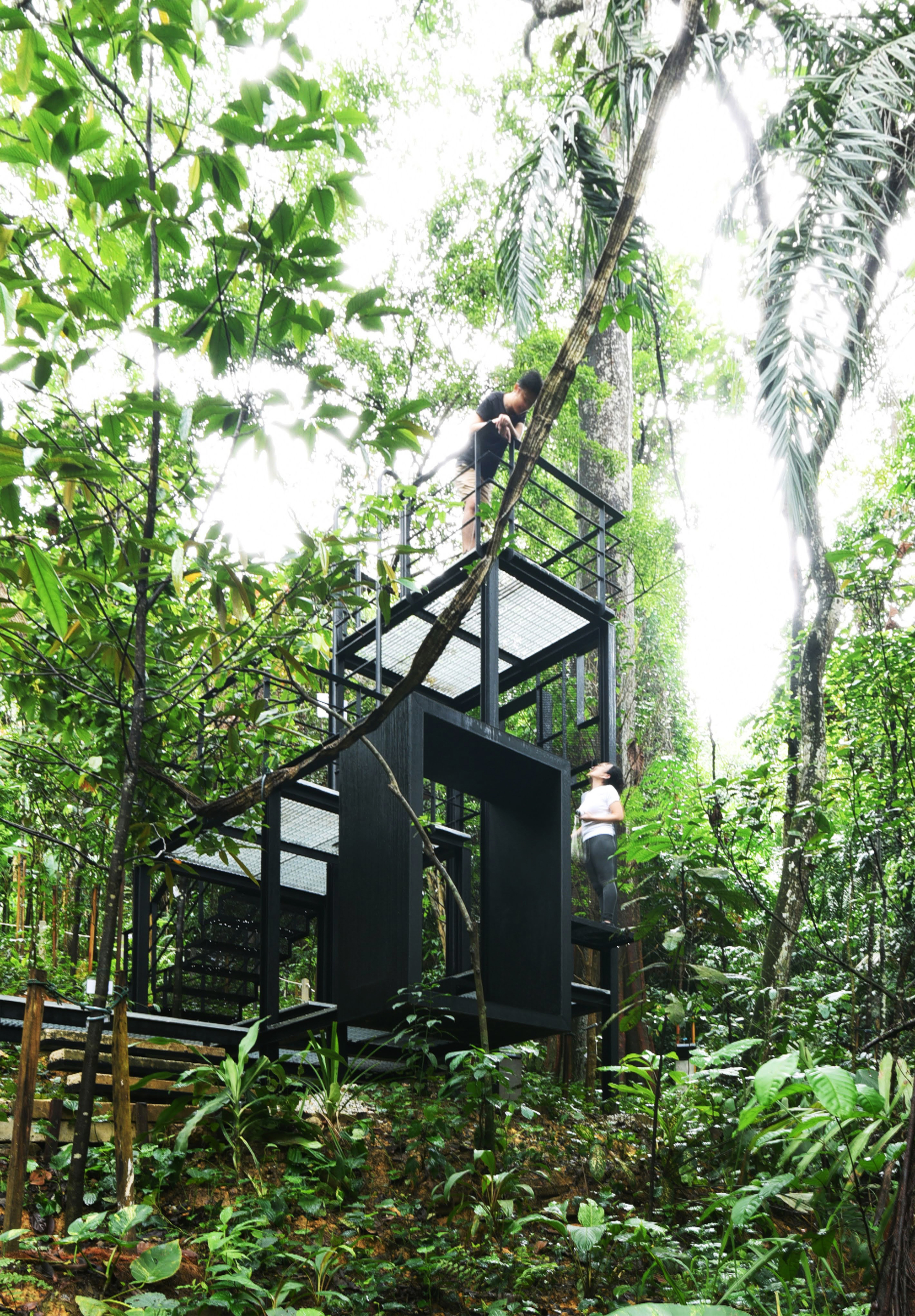 Galeria de Catálogo da Natureza / Garis Architects + GAde Design ...