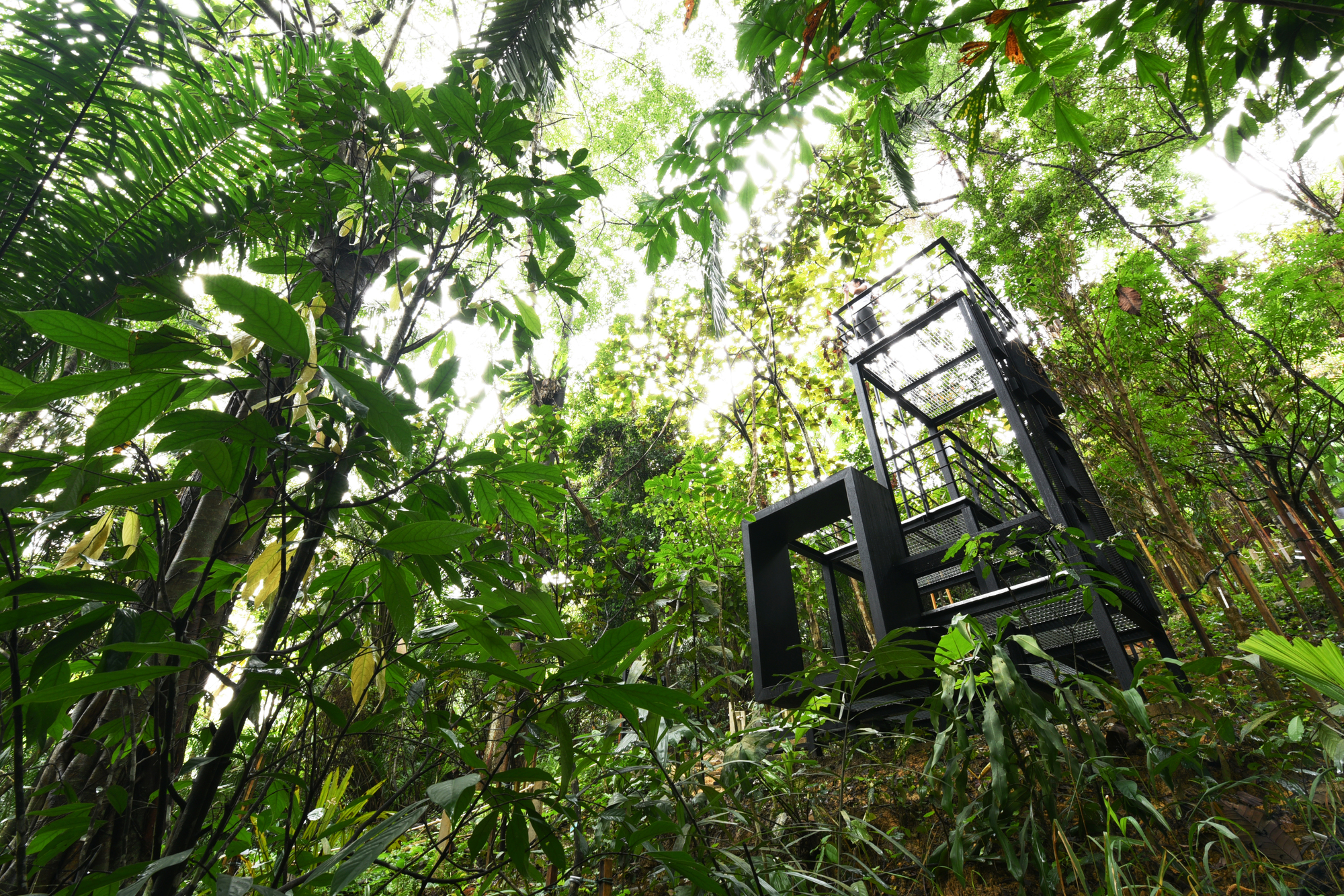 Gallery of Nature’s Catalog / Garis Architects + GAde Design Workshop - 16