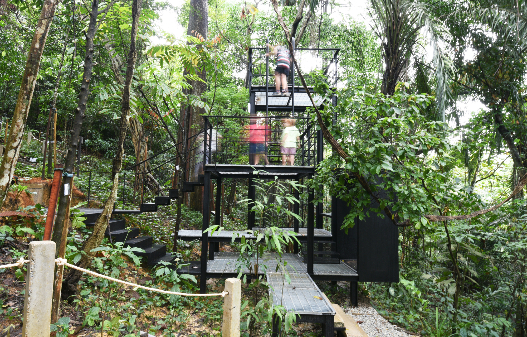 Gallery of Nature’s Catalog / Garis Architects + GAde Design Workshop - 14