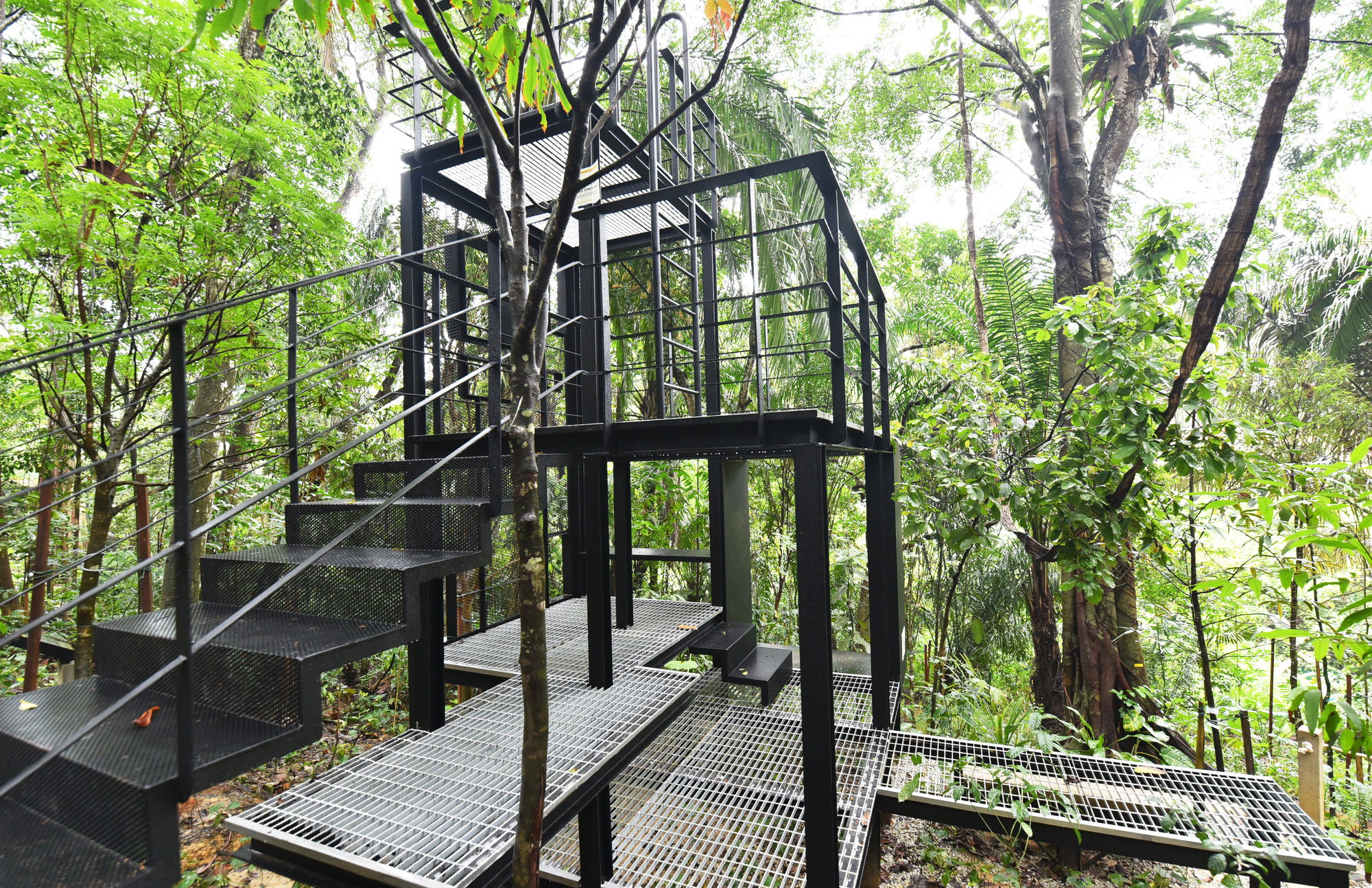 Gallery of Nature’s Catalog / Garis Architects + GAde Design Workshop - 12