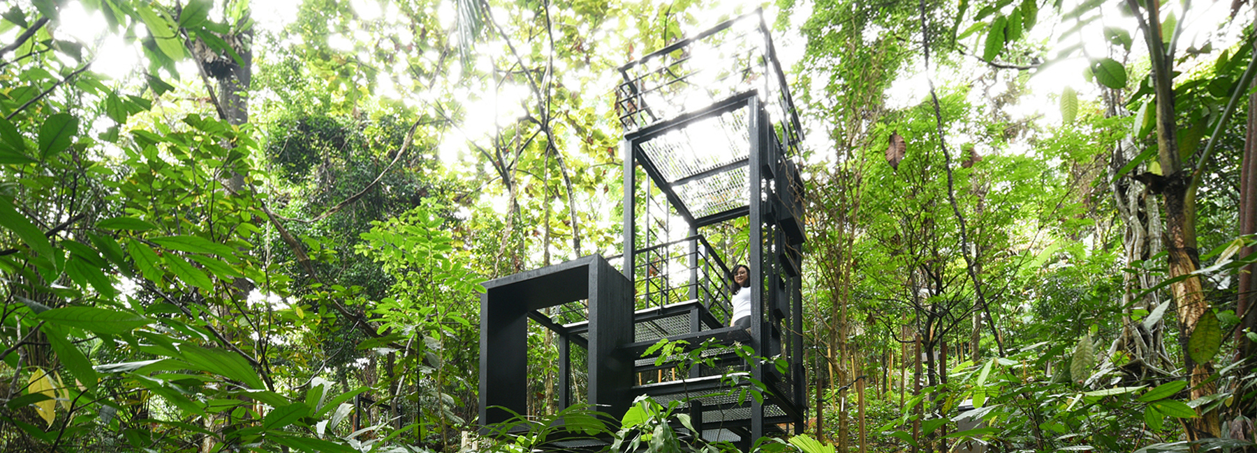 Gallery of Nature’s Catalog / Garis Architects + GAde Design Workshop - 10