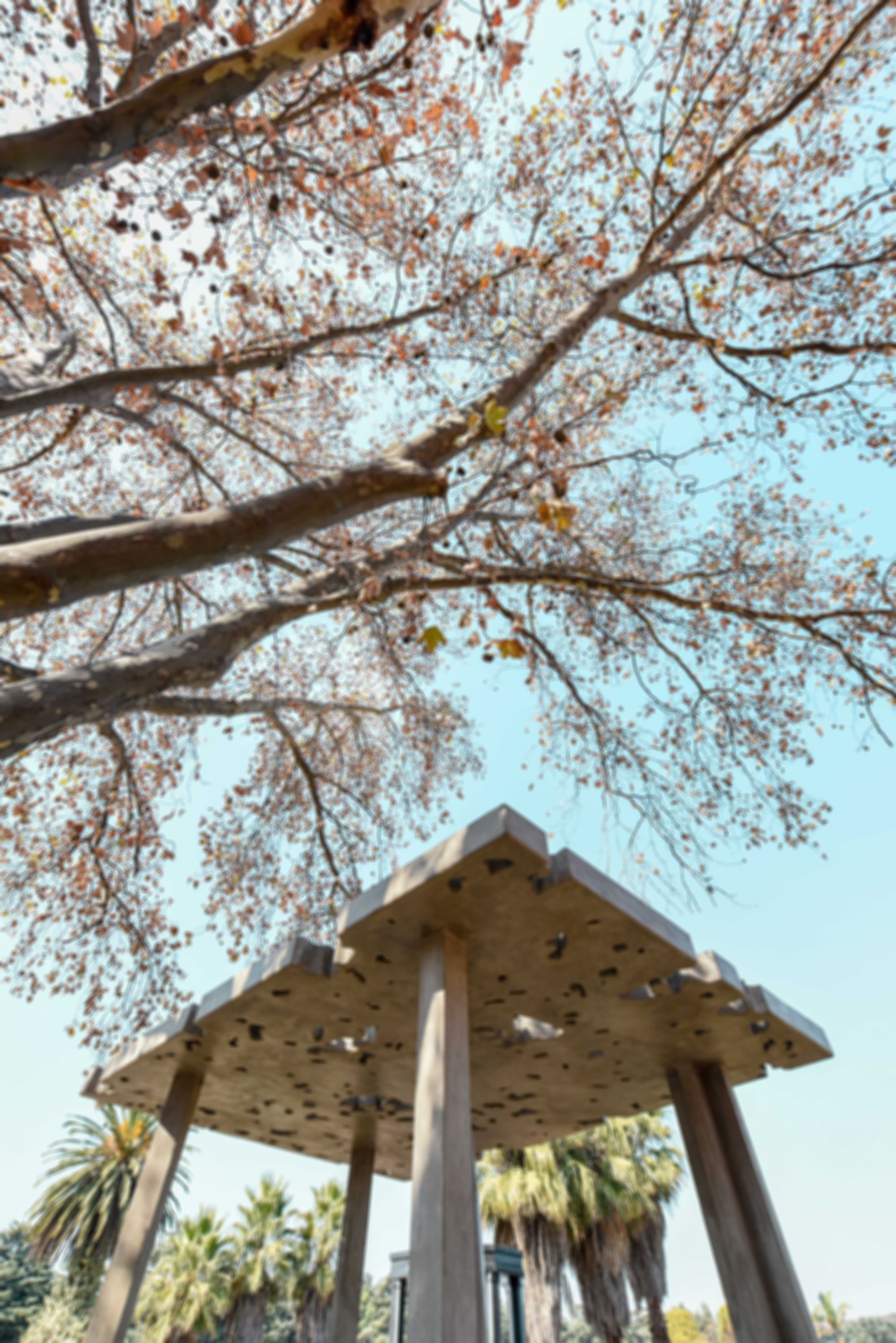 Gallery of Masekela Memorial Pavilion / Adjaye Associates - 6