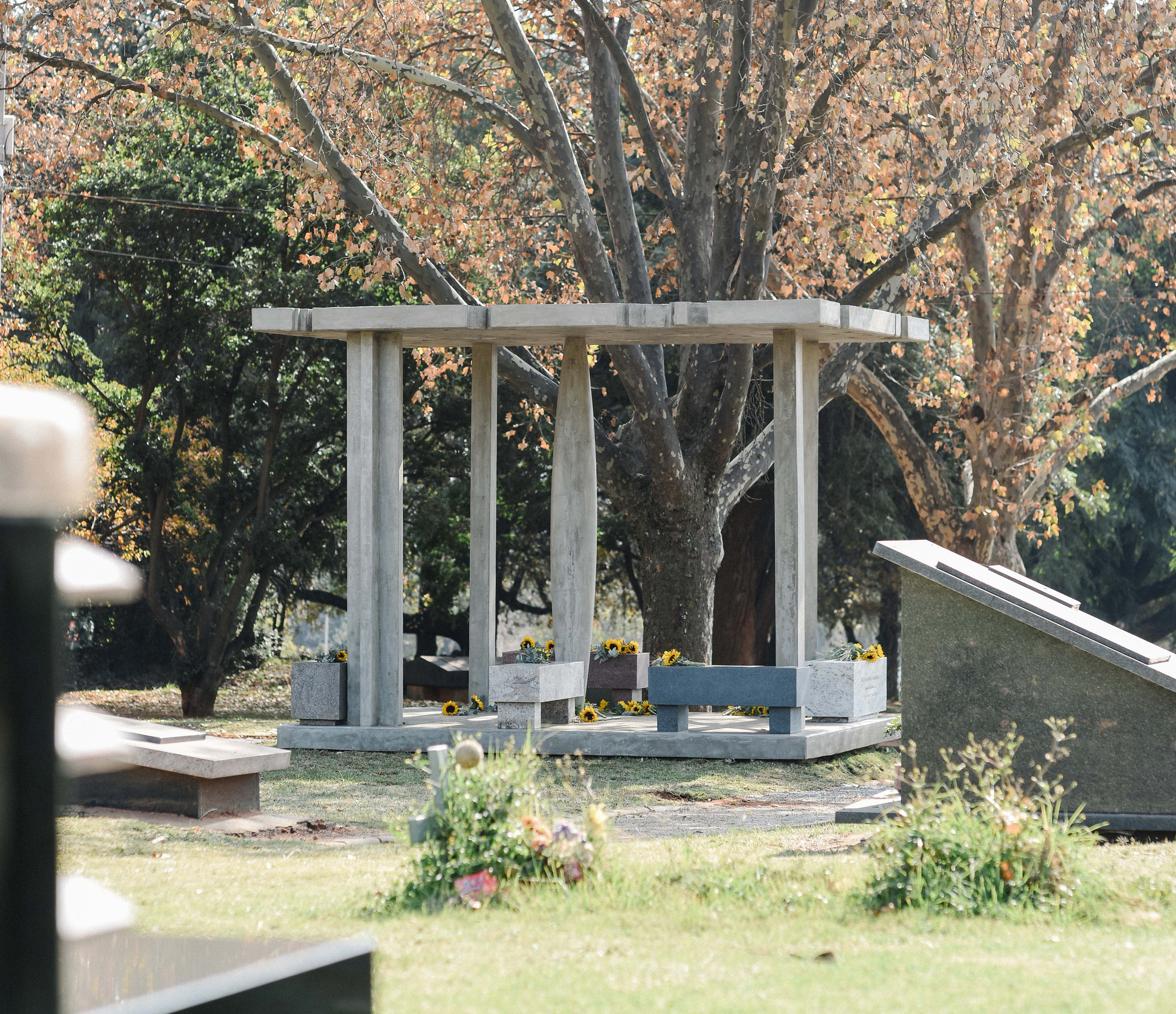 Gallery of Masekela Memorial Pavilion / Adjaye Associates - 1