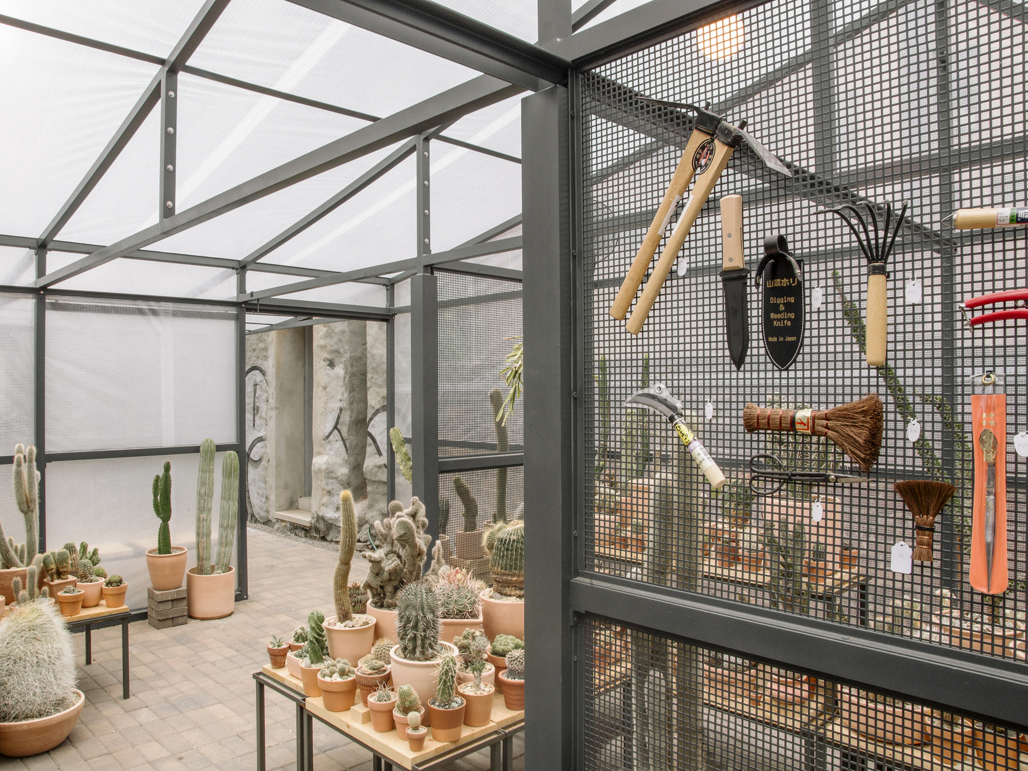 Gallery of New York Greenhouse / Part Office + Cactus Store - 9