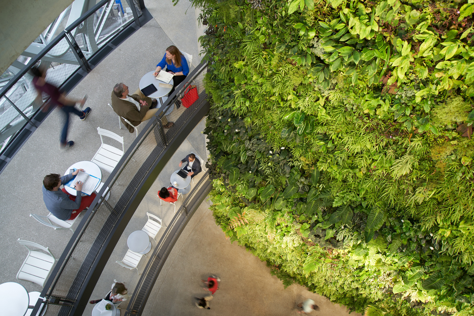 Gallery of Amazon Spheres / NBBJ - 2