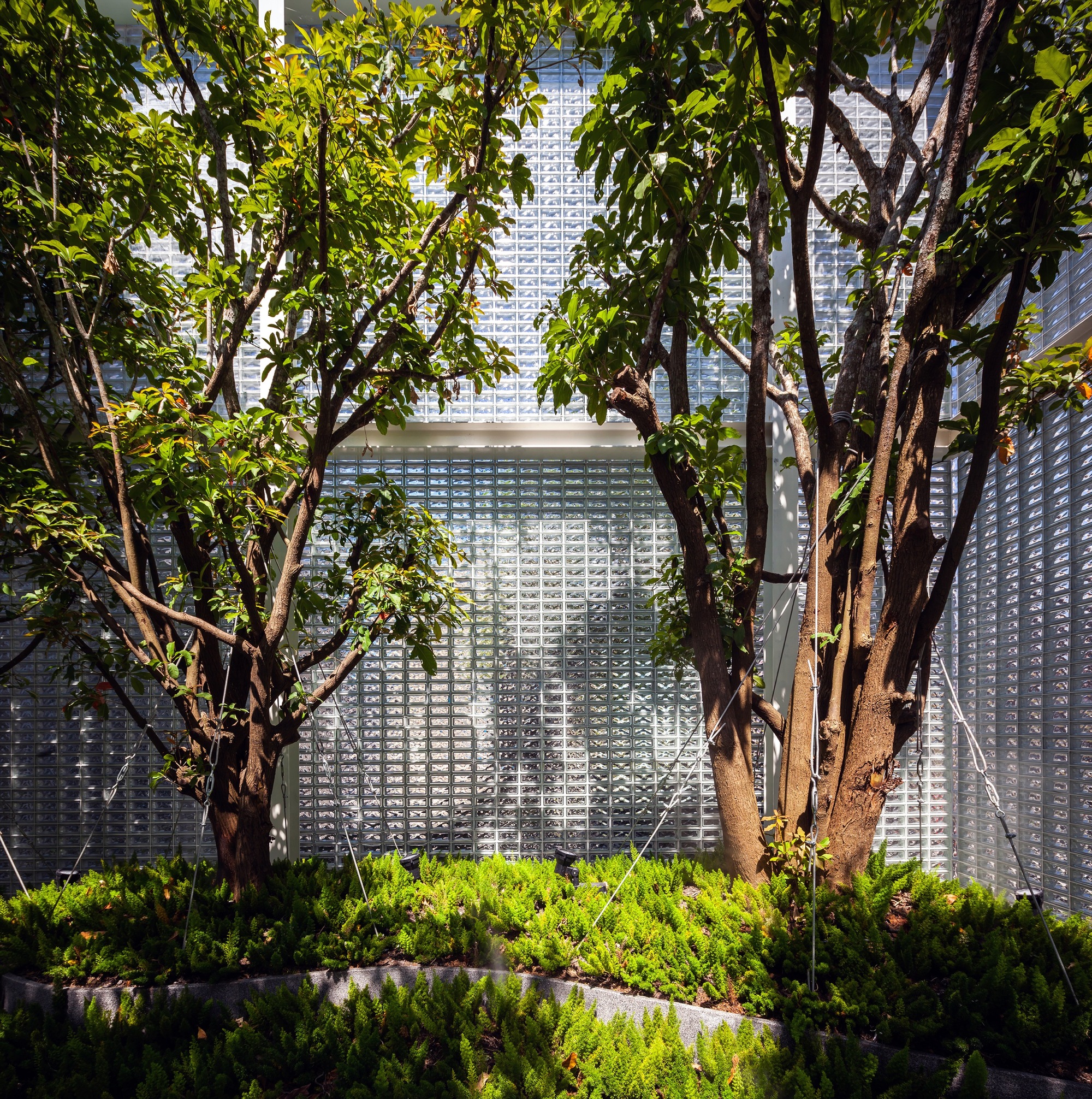 Gallery of The Glass Fortress / Archismith Architects - 14