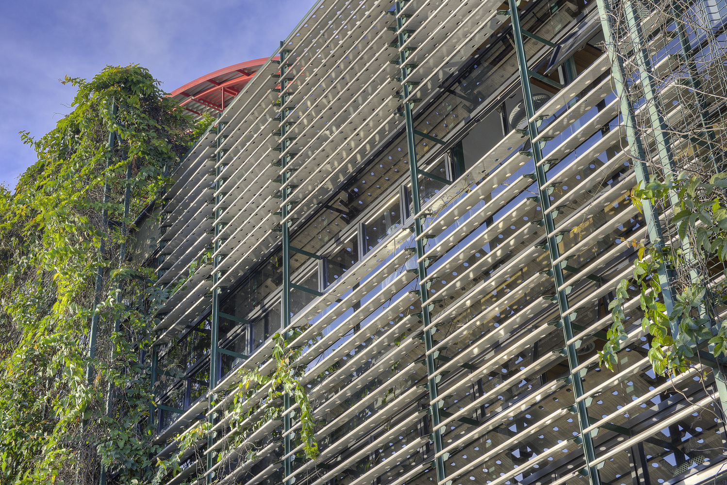 Galeria de Pensando uma arquitetura para os trópicos - 1