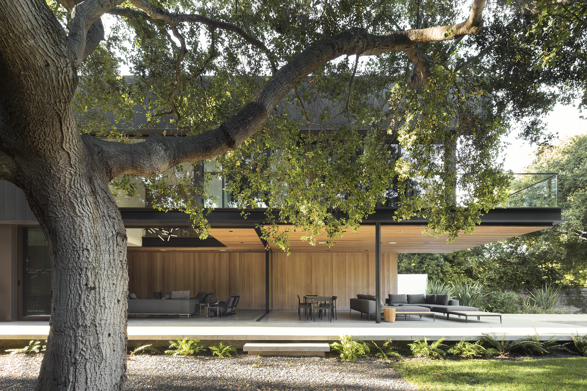Gallery of Tree House / Aidlin Darling Design - 7