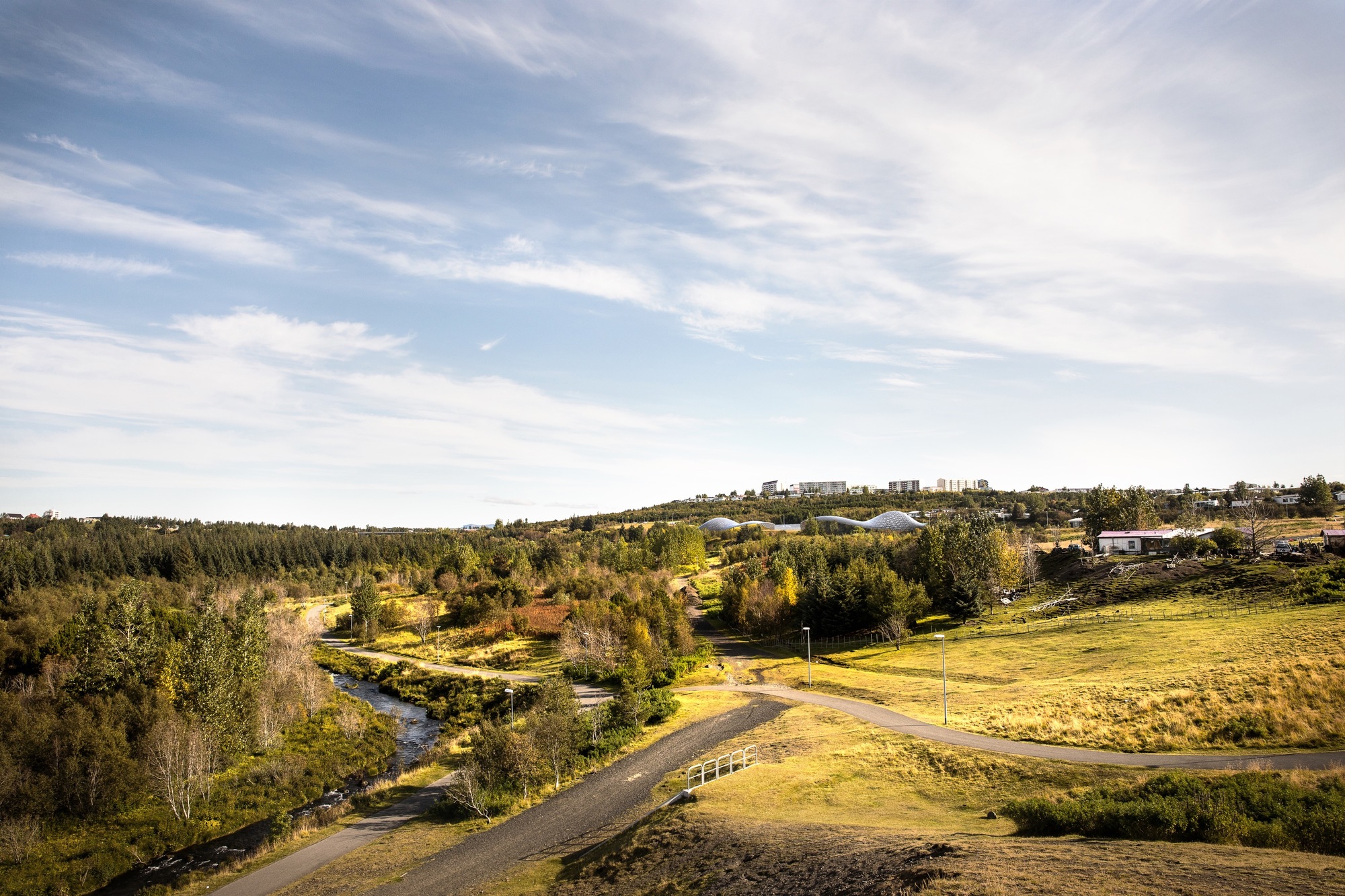 Gallery of WilkinsonEyre Design Tropical Biodome in Iceland - 2