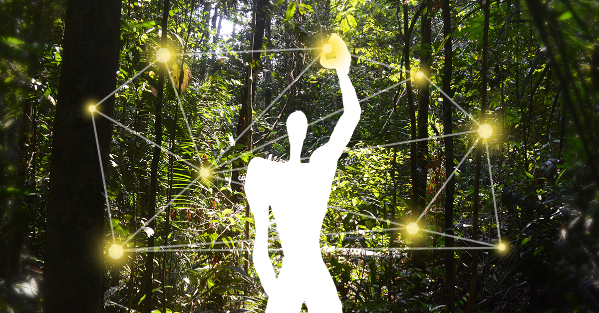 What Can Nature Teach Architects about Resilience | ArchDaily