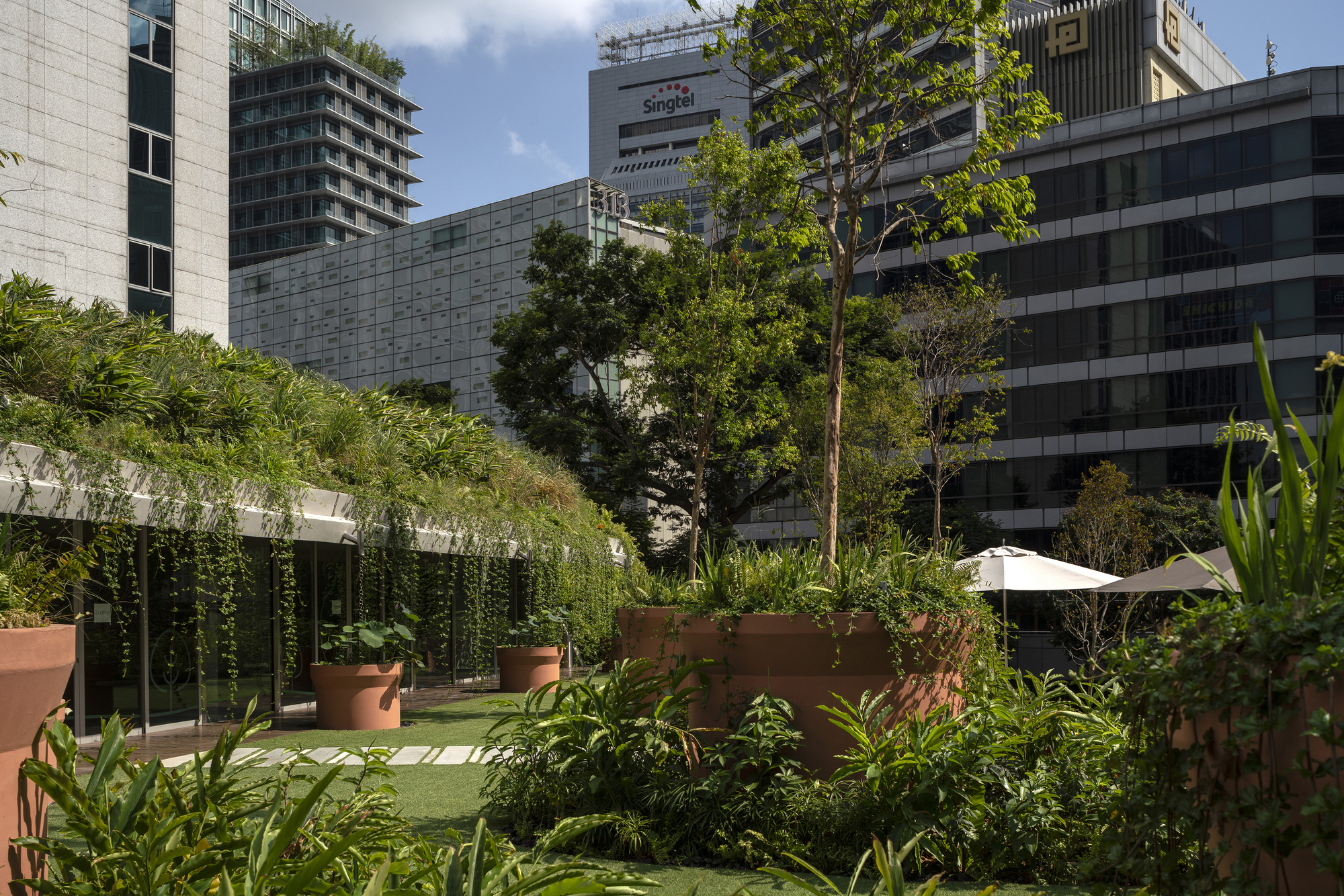 Gallery of “Design Orchard” Incubator / WOHA - 14