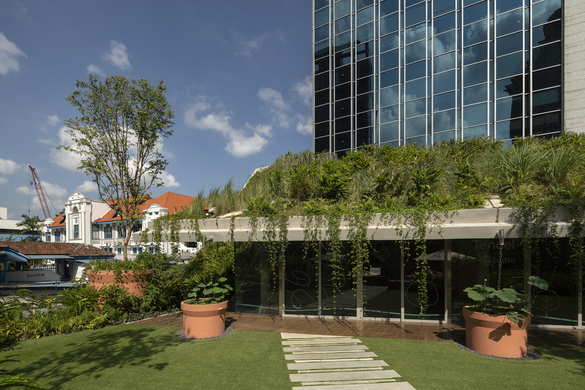 Gallery of “Design Orchard” Incubator / WOHA - 26
