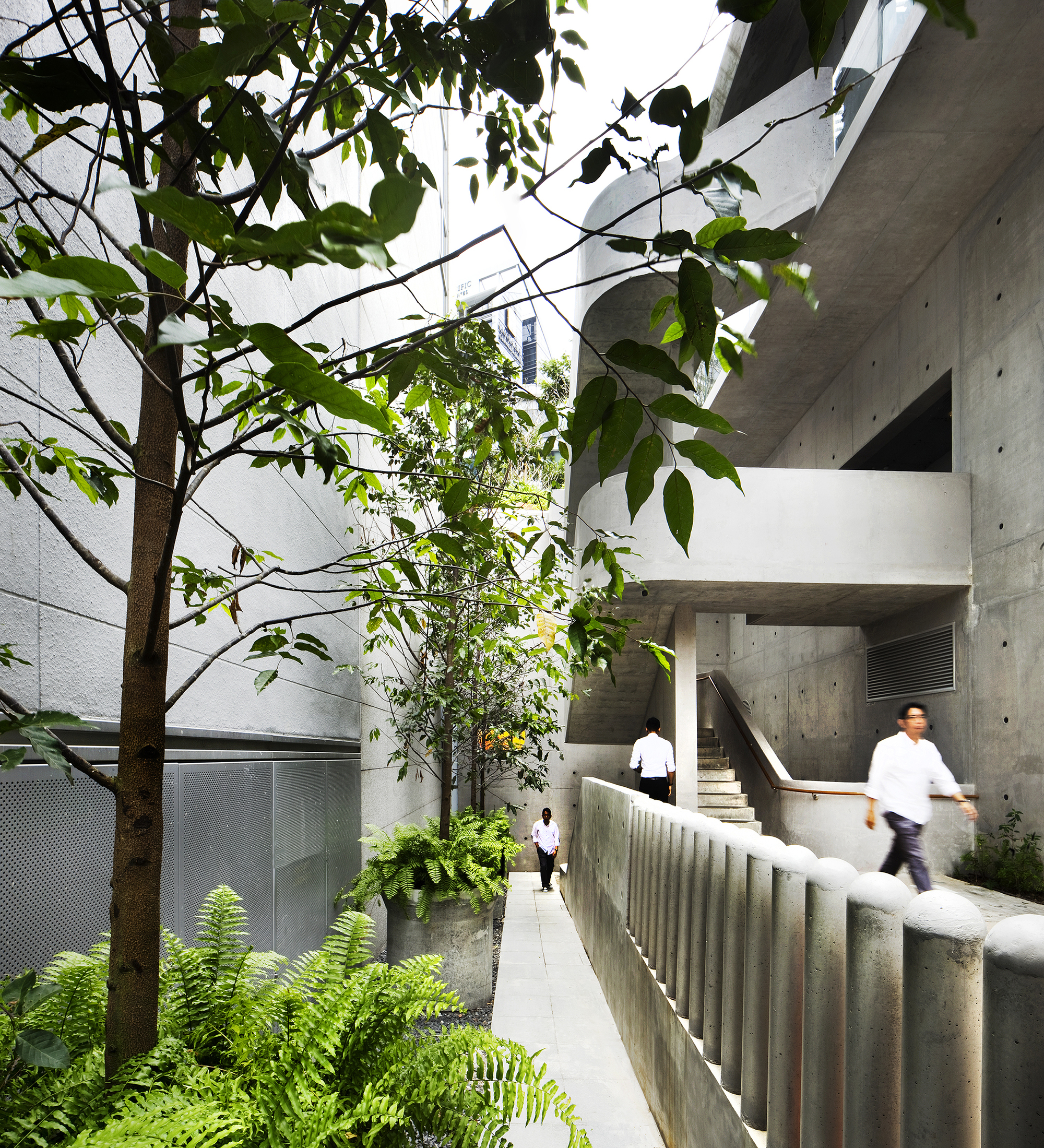 Gallery of “Design Orchard” Incubator / WOHA - 24