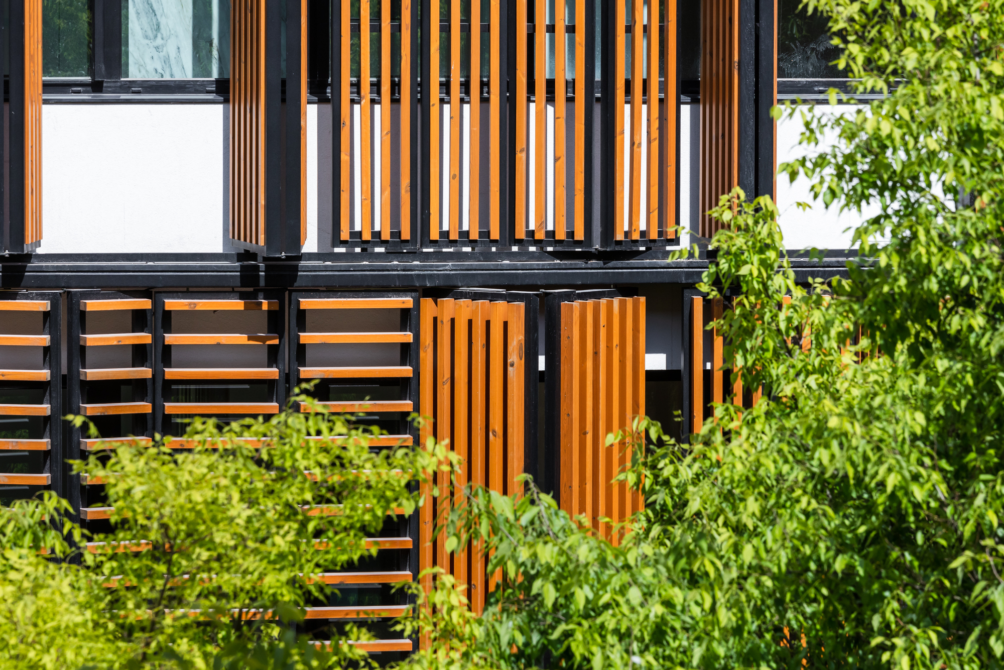 Gallery of Lisbon Wood Residential Building / Plano Humano Arquitectos - 2