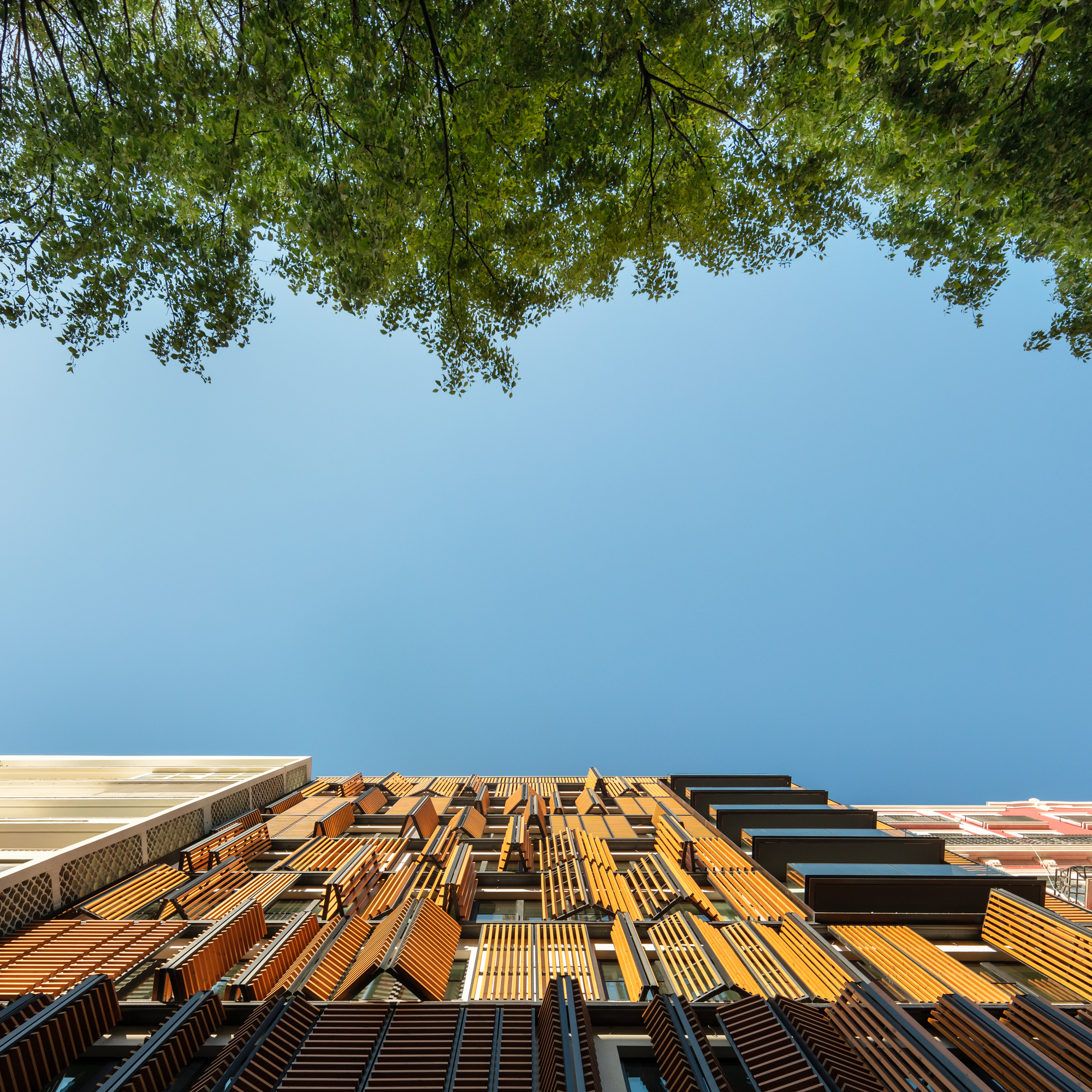 Gallery of Lisbon Wood Residential Building / Plano Humano Arquitectos - 10